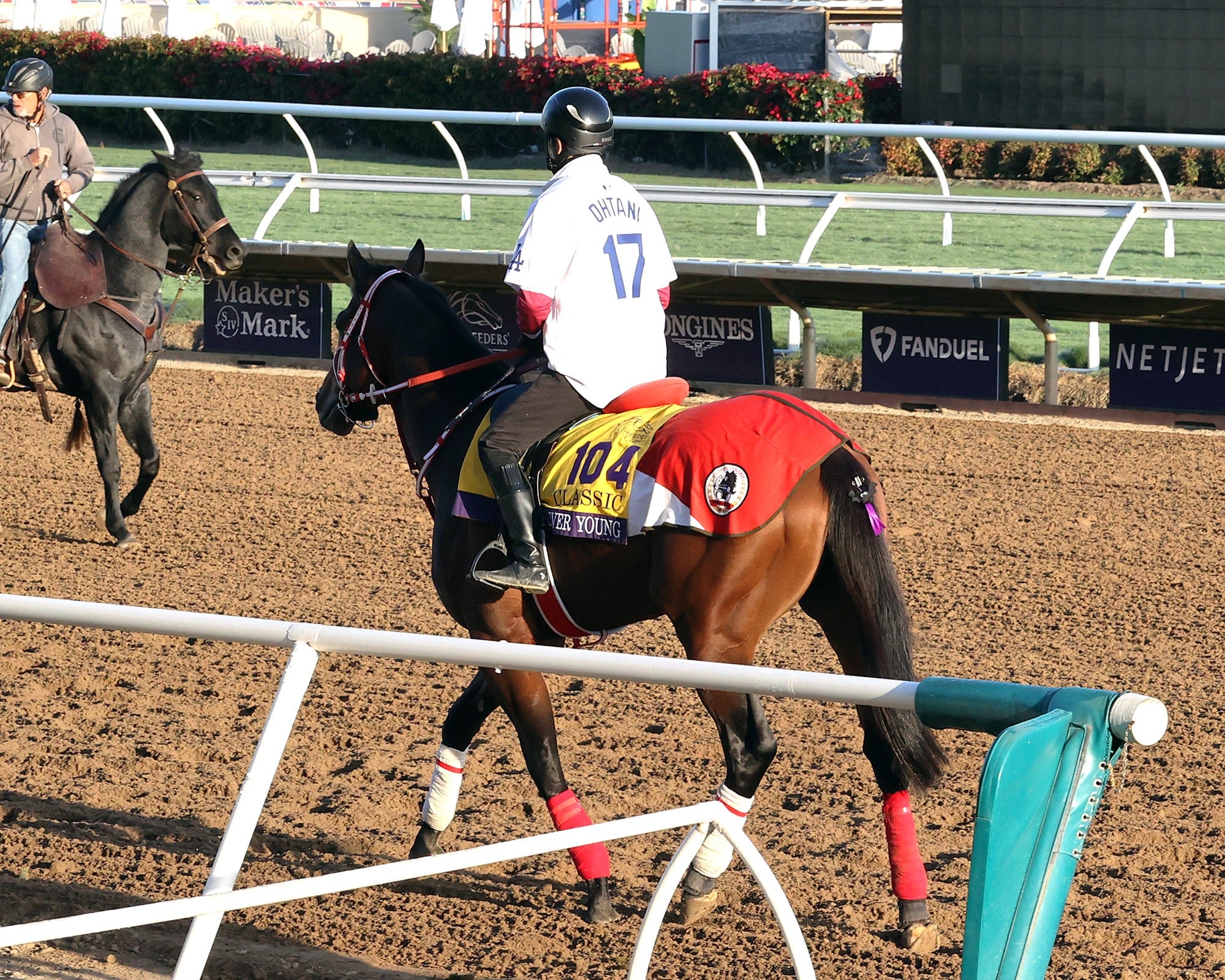 Breeders' Cup Clocker report: Thorpedo Anna more relaxed this morning