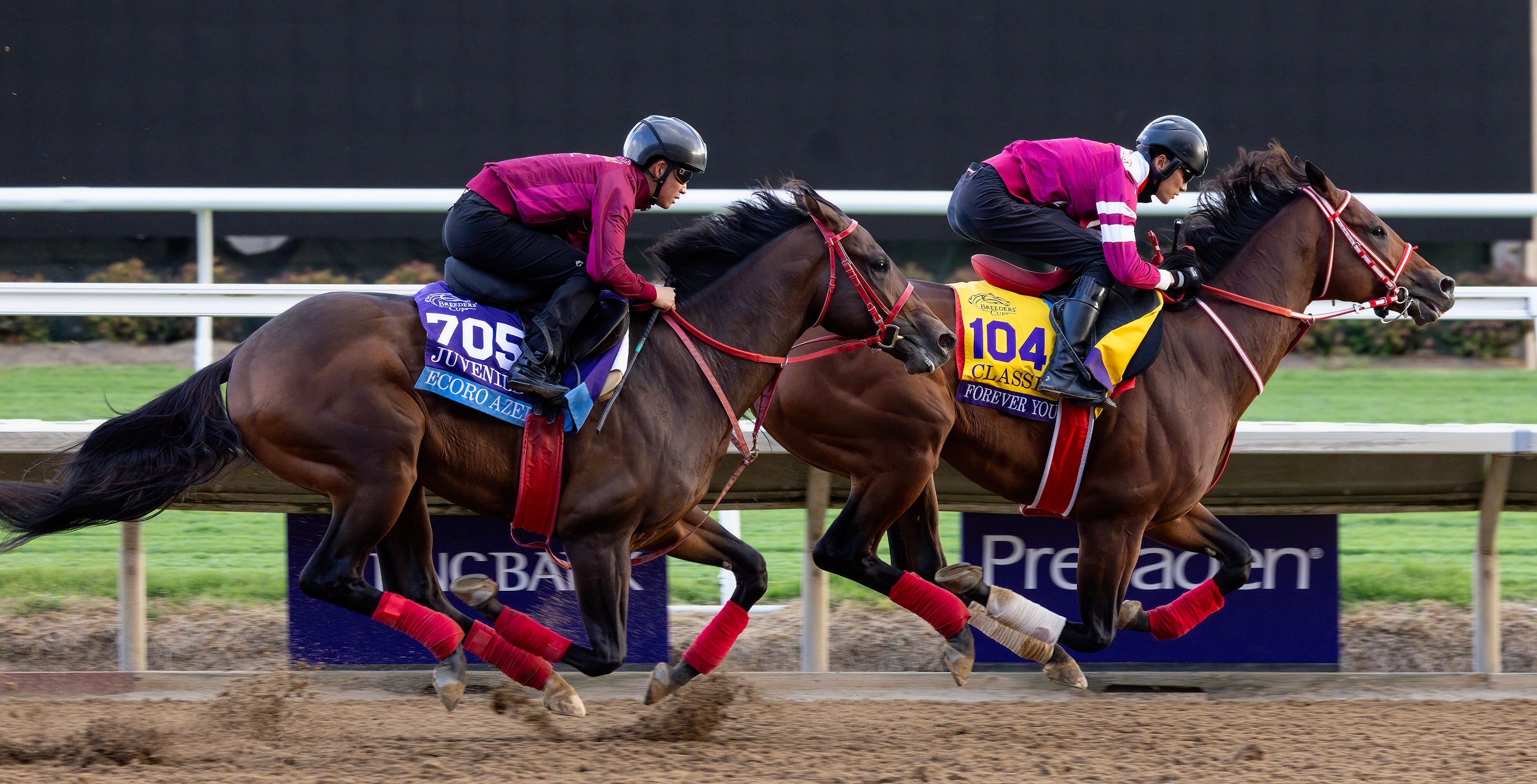 Breeders' Cup: Del Mar hits the sweet spot for Japanese participation