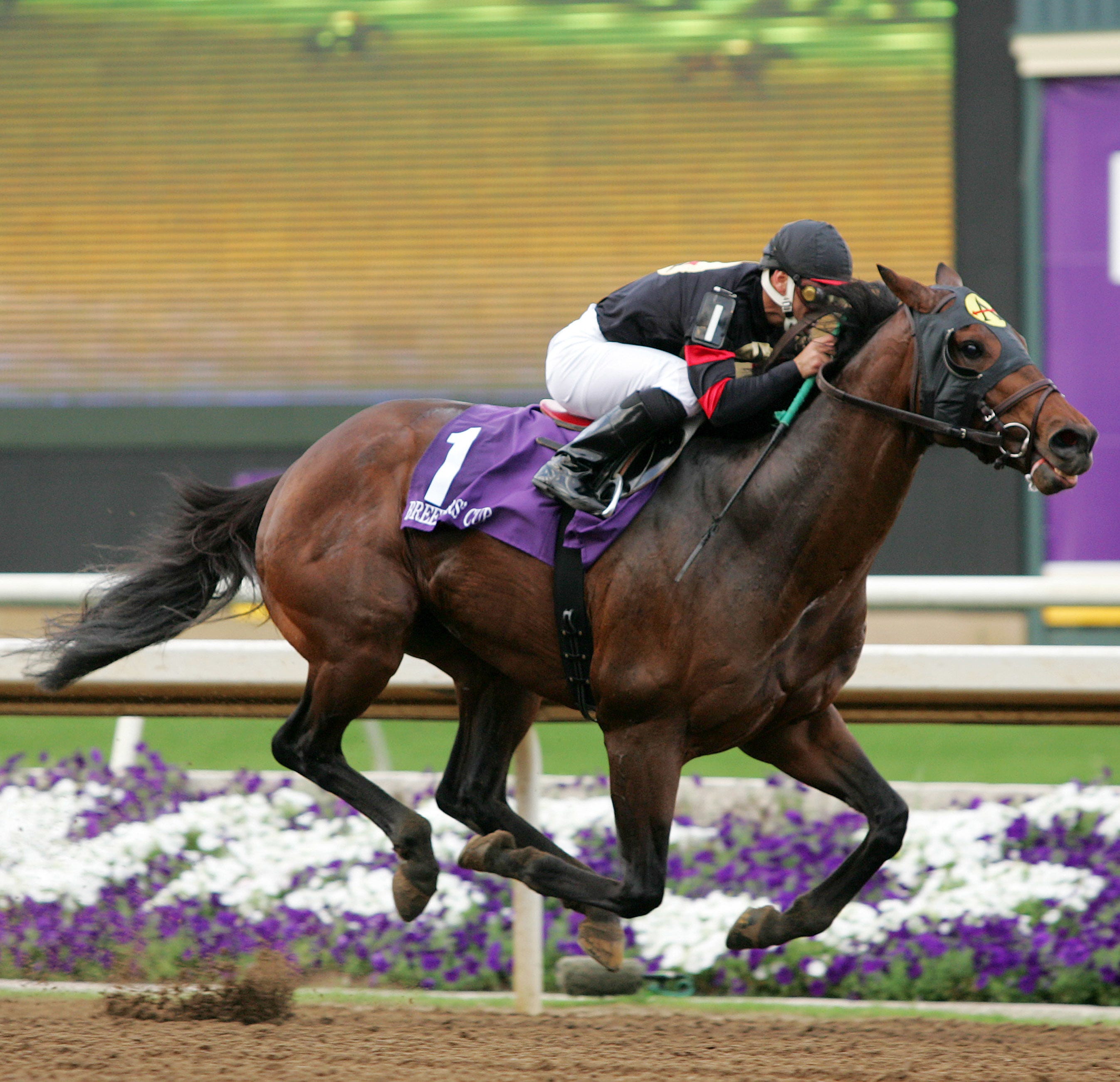 Breeders' Cup: Twenty years later, Ghostzapper's influence still growing