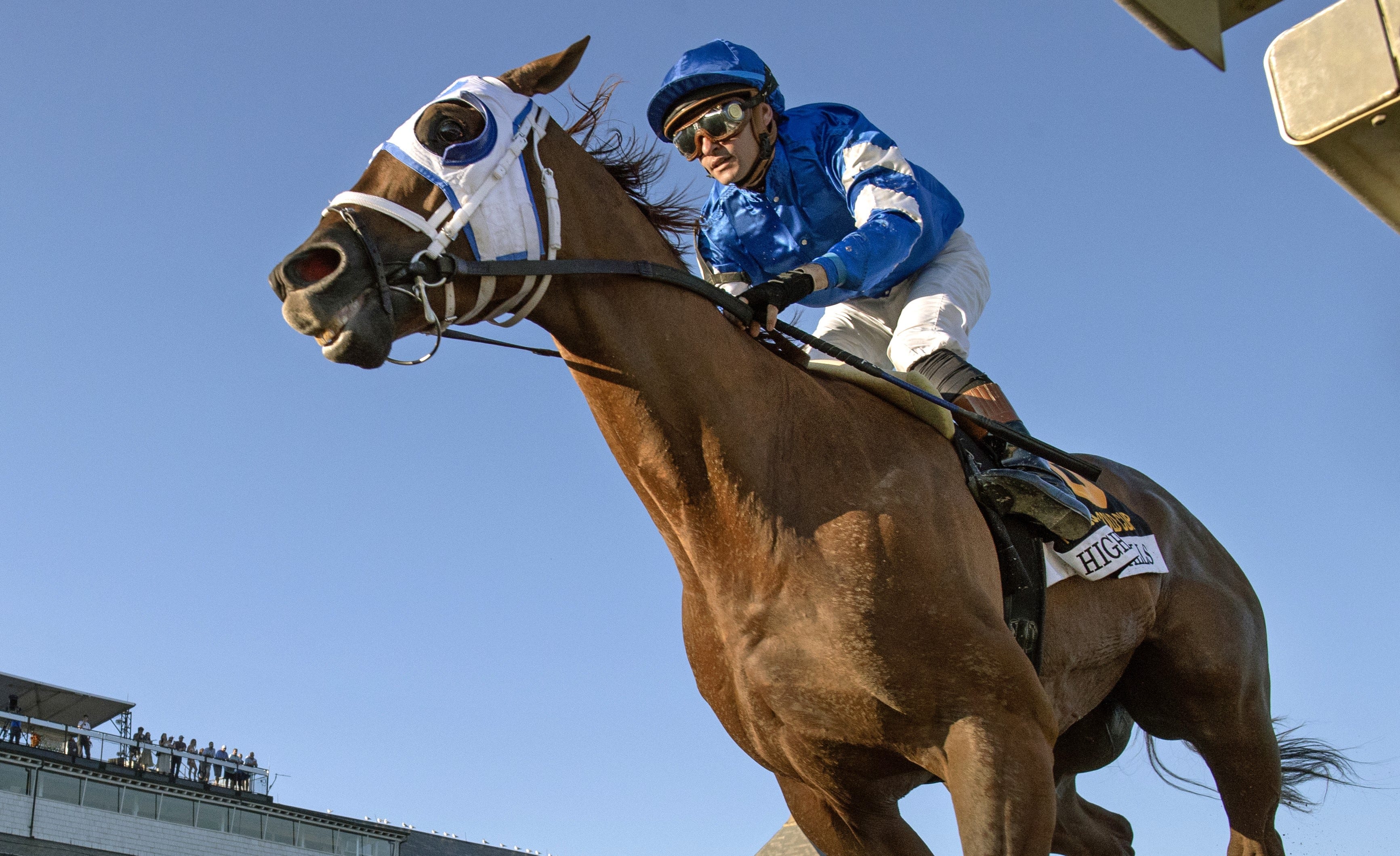 Breeders' Cup Classic: Highland Falls much improved since Big Cap fourth