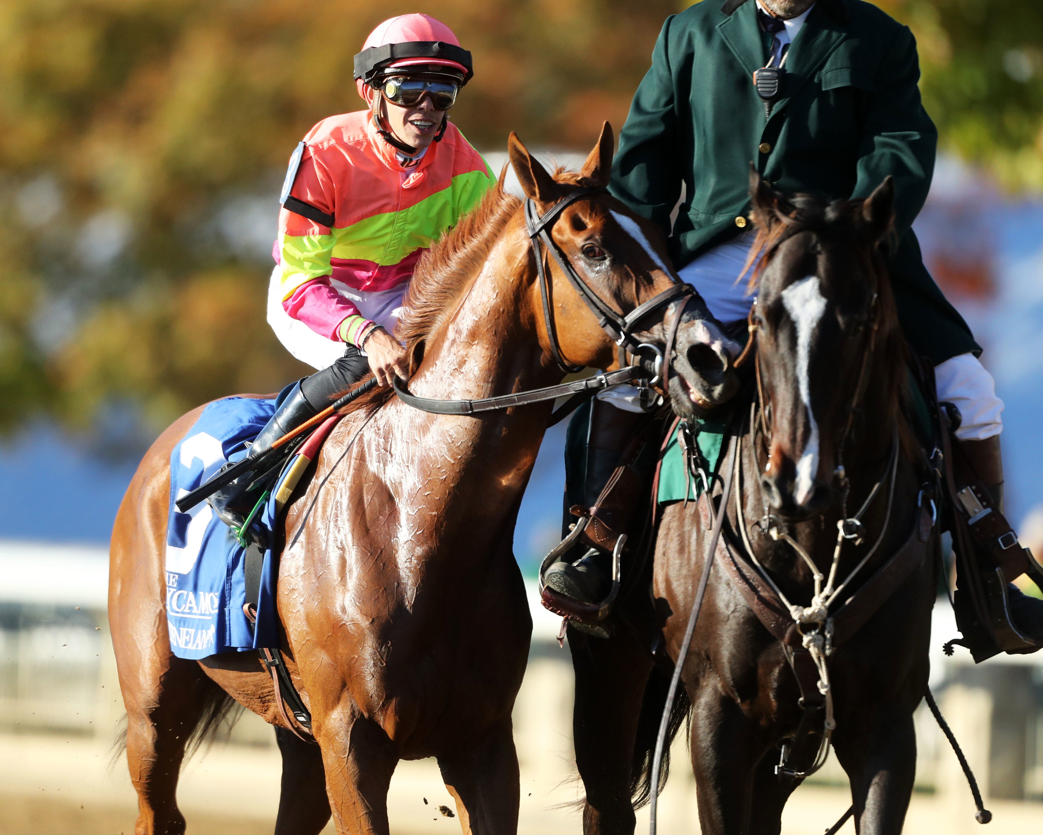 Highway Robber turns attention toward Pegasus World Cup Turf
