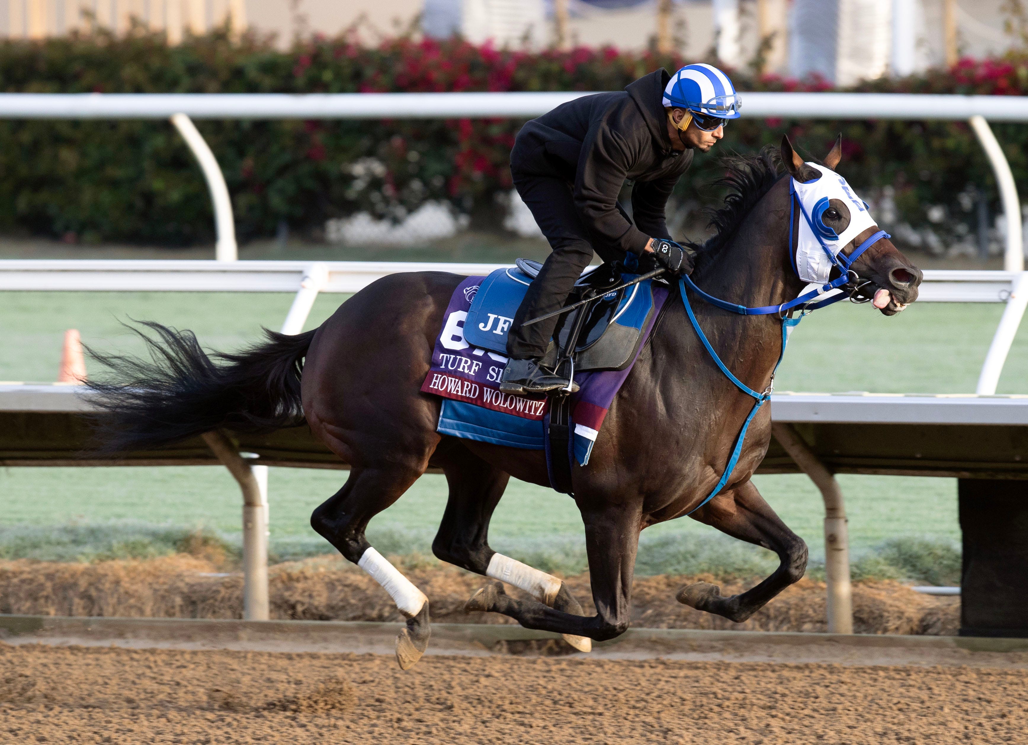 Breeders' Cup Turf Sprint: D'Angelo hoping for a big bang from Howard ...