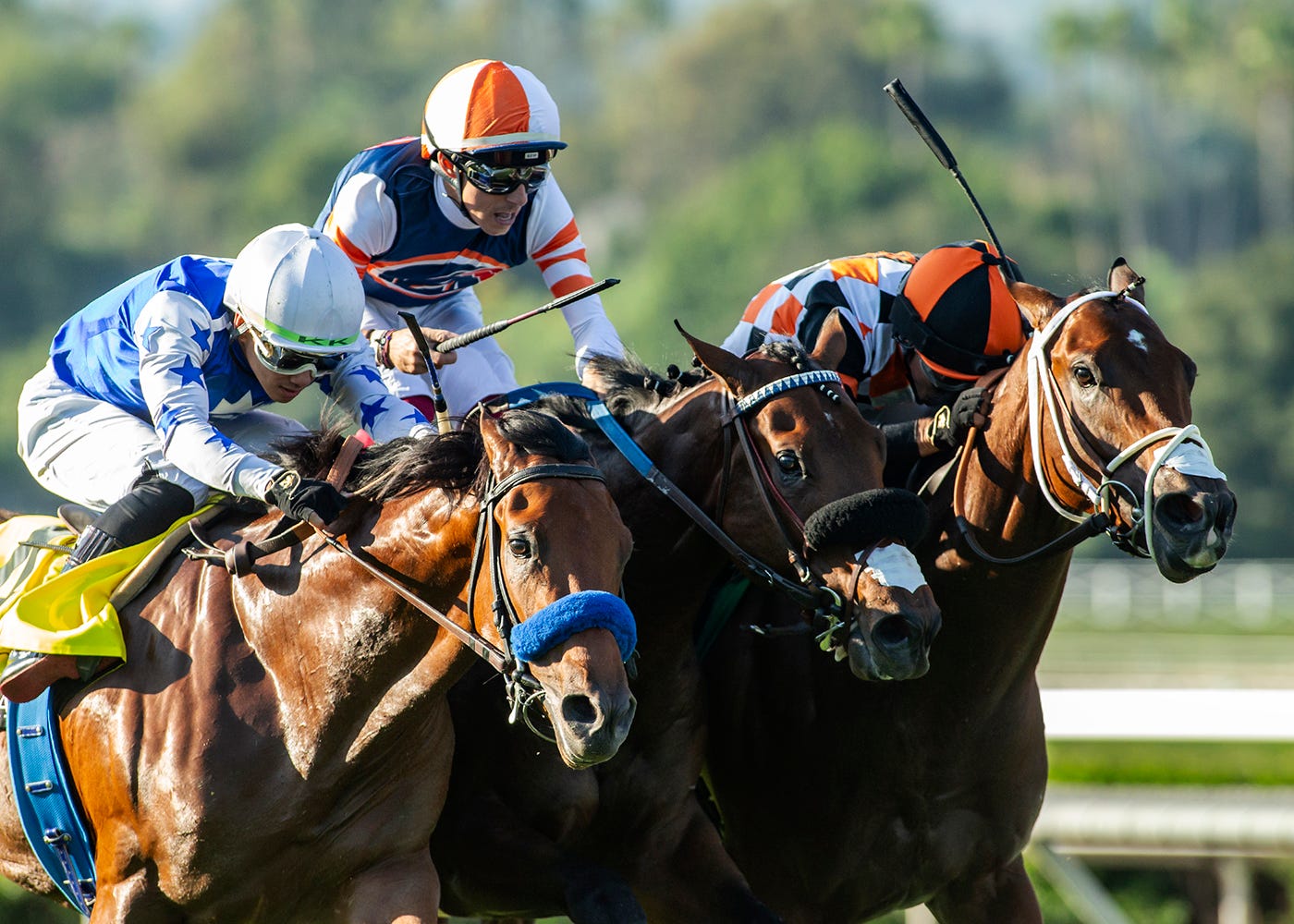 Iron Man Cal wins Zuma Stakes via DQ, caps big weekend for D'Amato