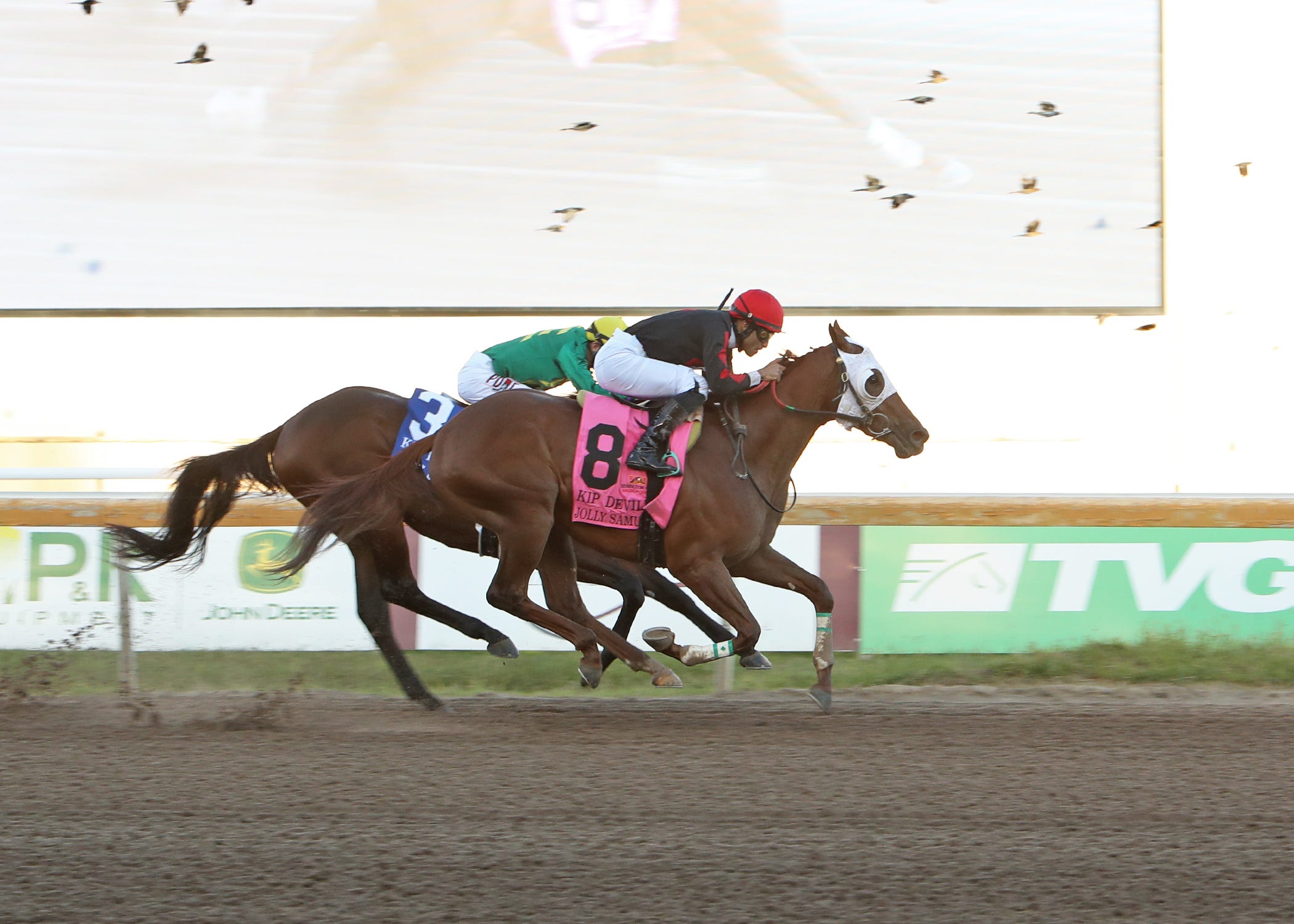 Jolly Samurai should handle extra furlong in Clever Trevor