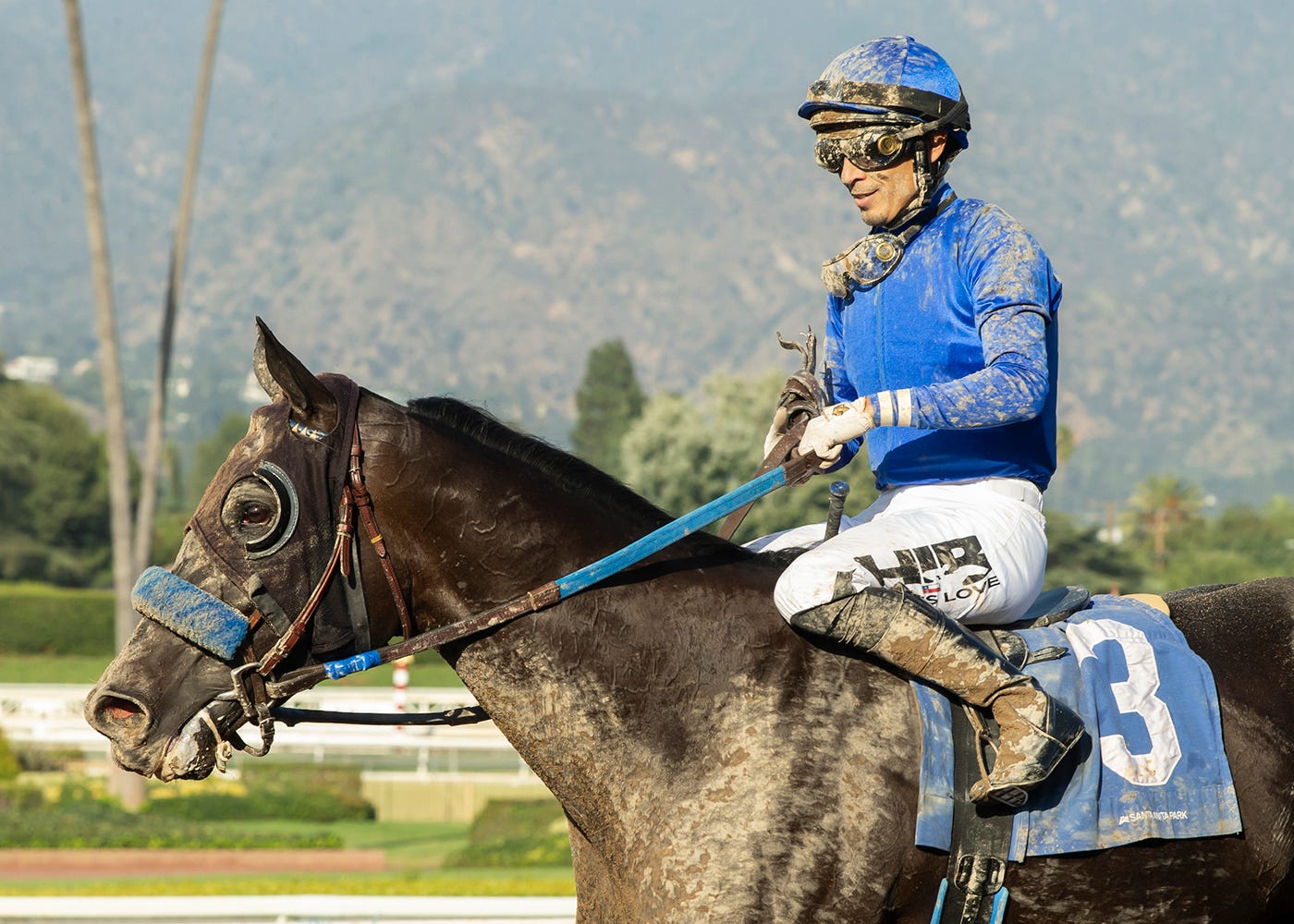 Breeders' Cup: Kirstenbosch, McKinzie Street, So There She Was out of ...