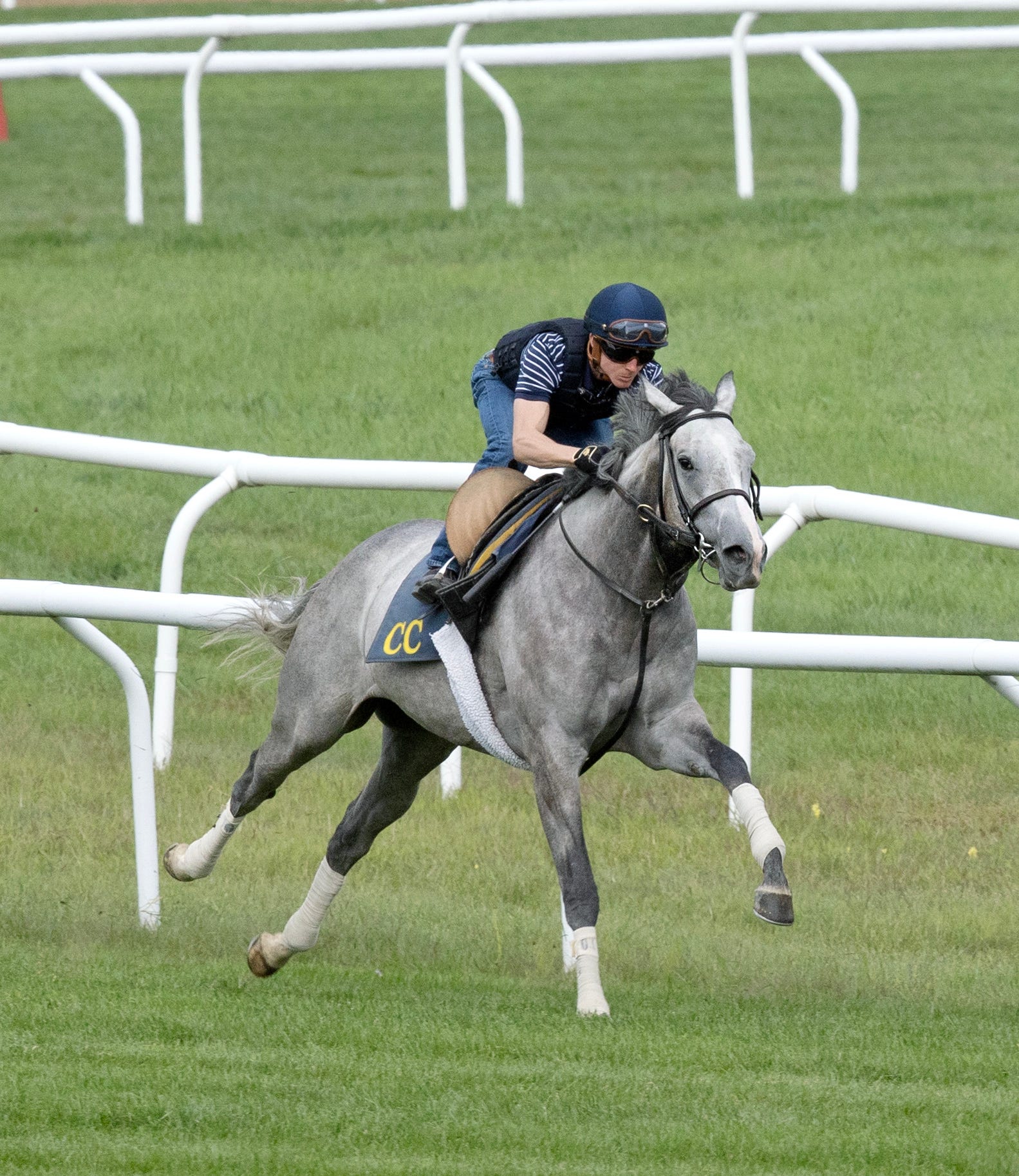 Les Reys, Clement, Prat give Valley View a French flavor