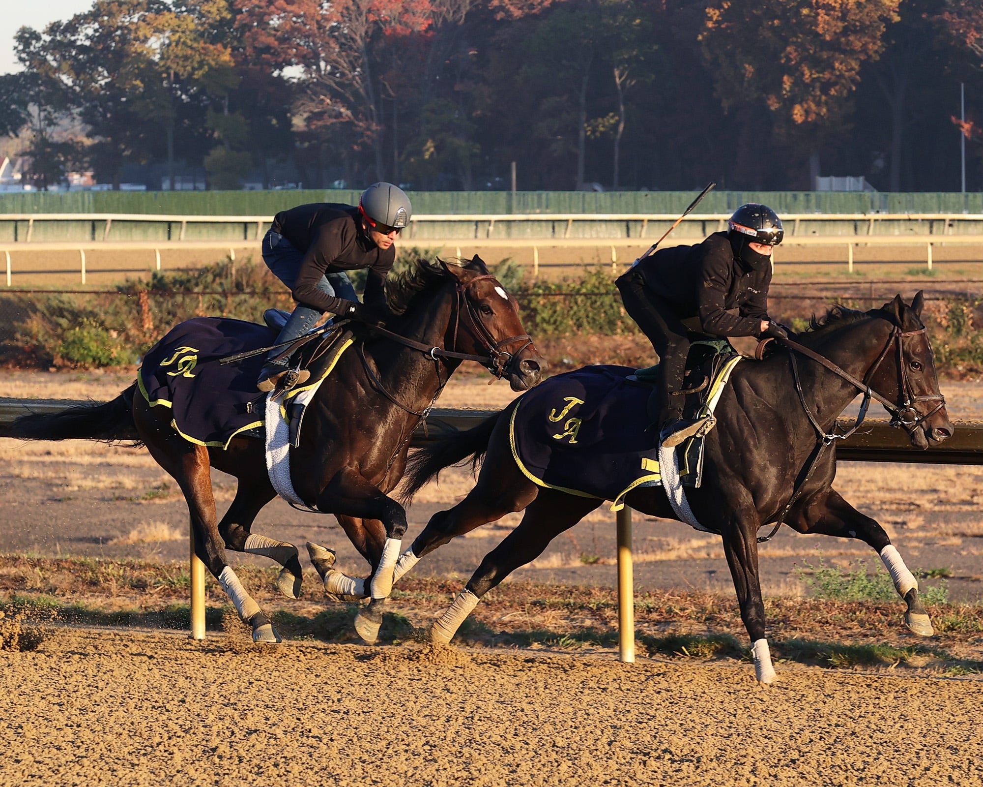 Frizette winner Scottish Lassie works half-mile for BC Juvenile Fillies