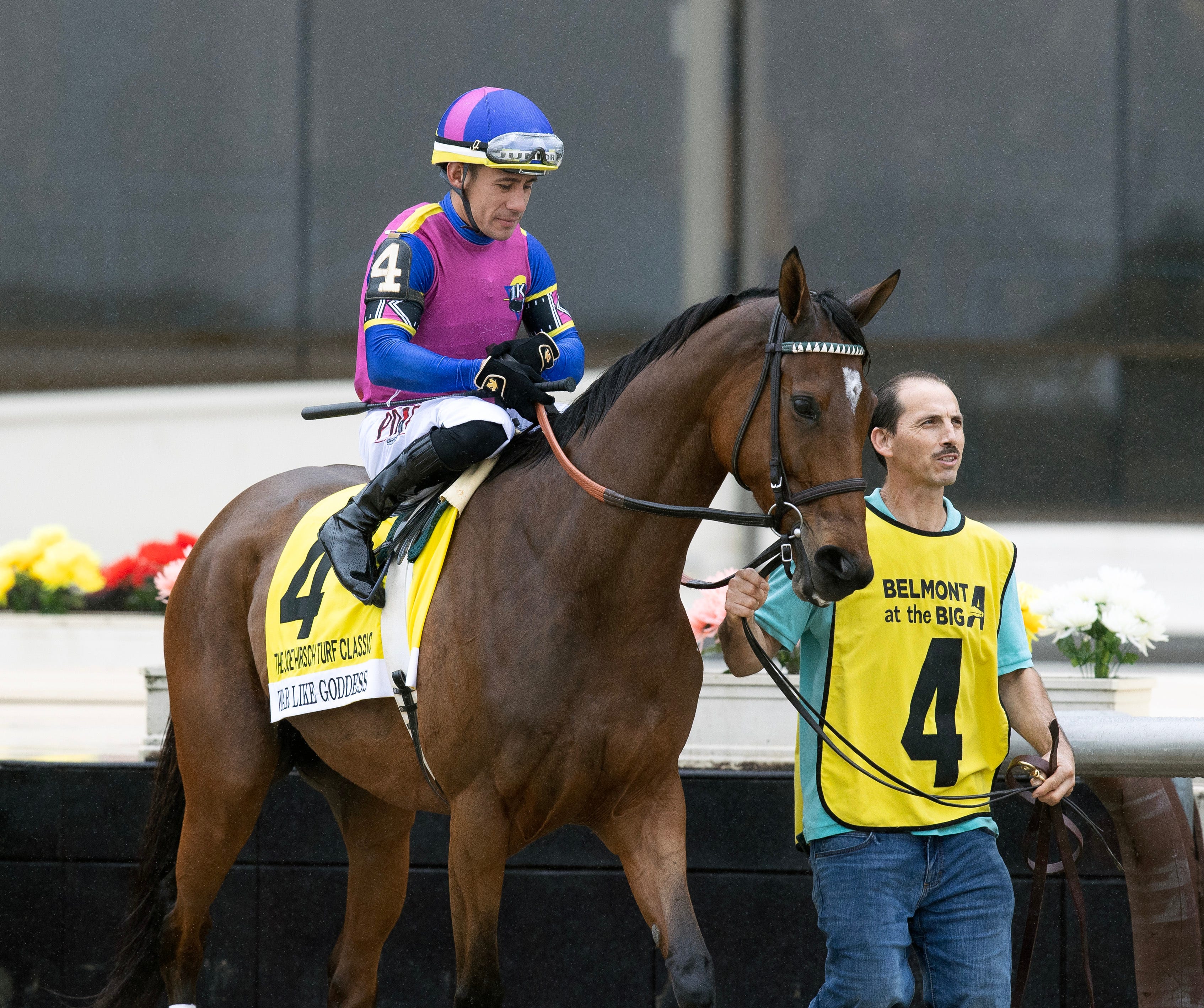 Breeders' Cup Filly and Mare Turf: War Like Goddess gets the added ...
