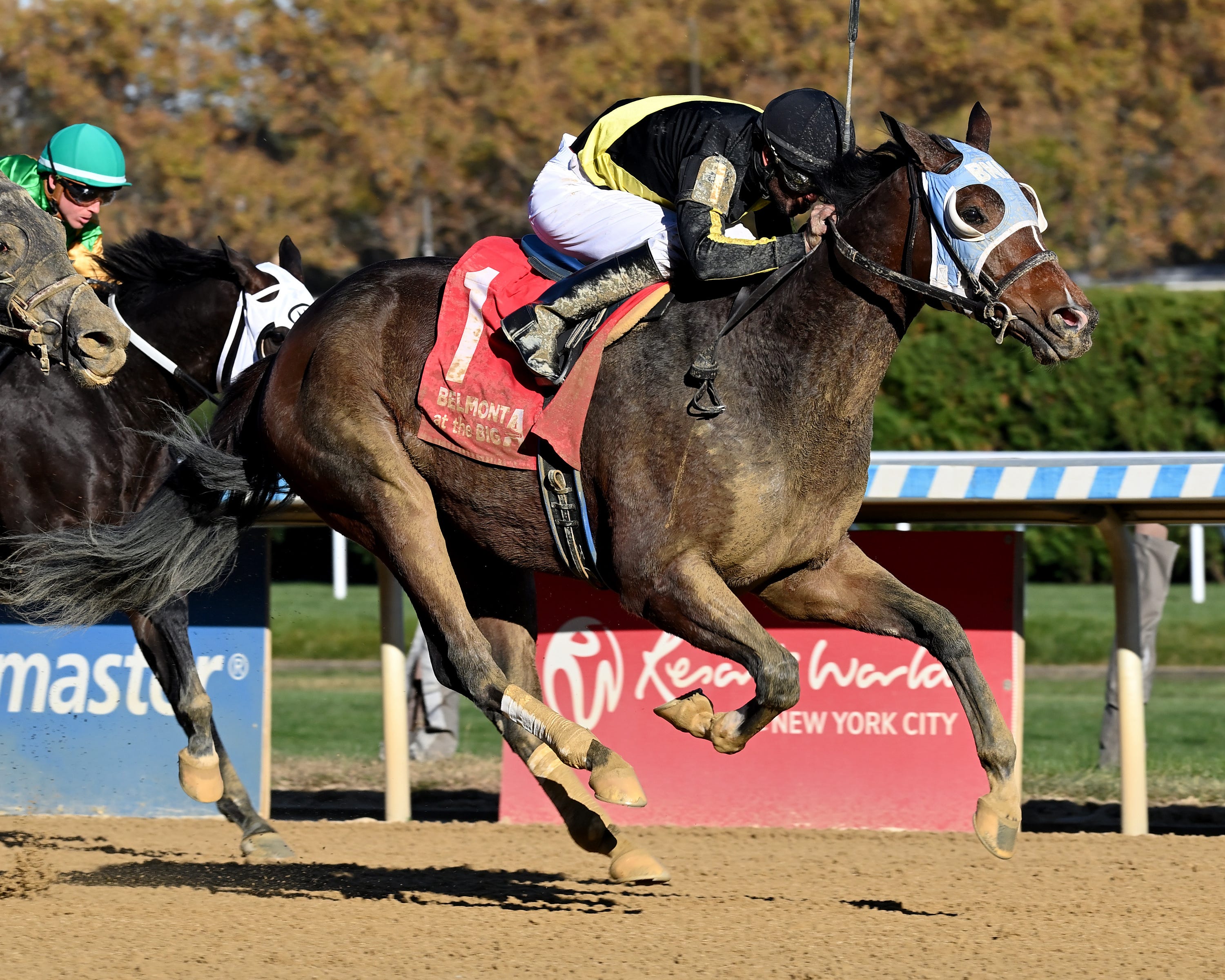 Light Man seeks fifth win of the year in Thunder Rumble