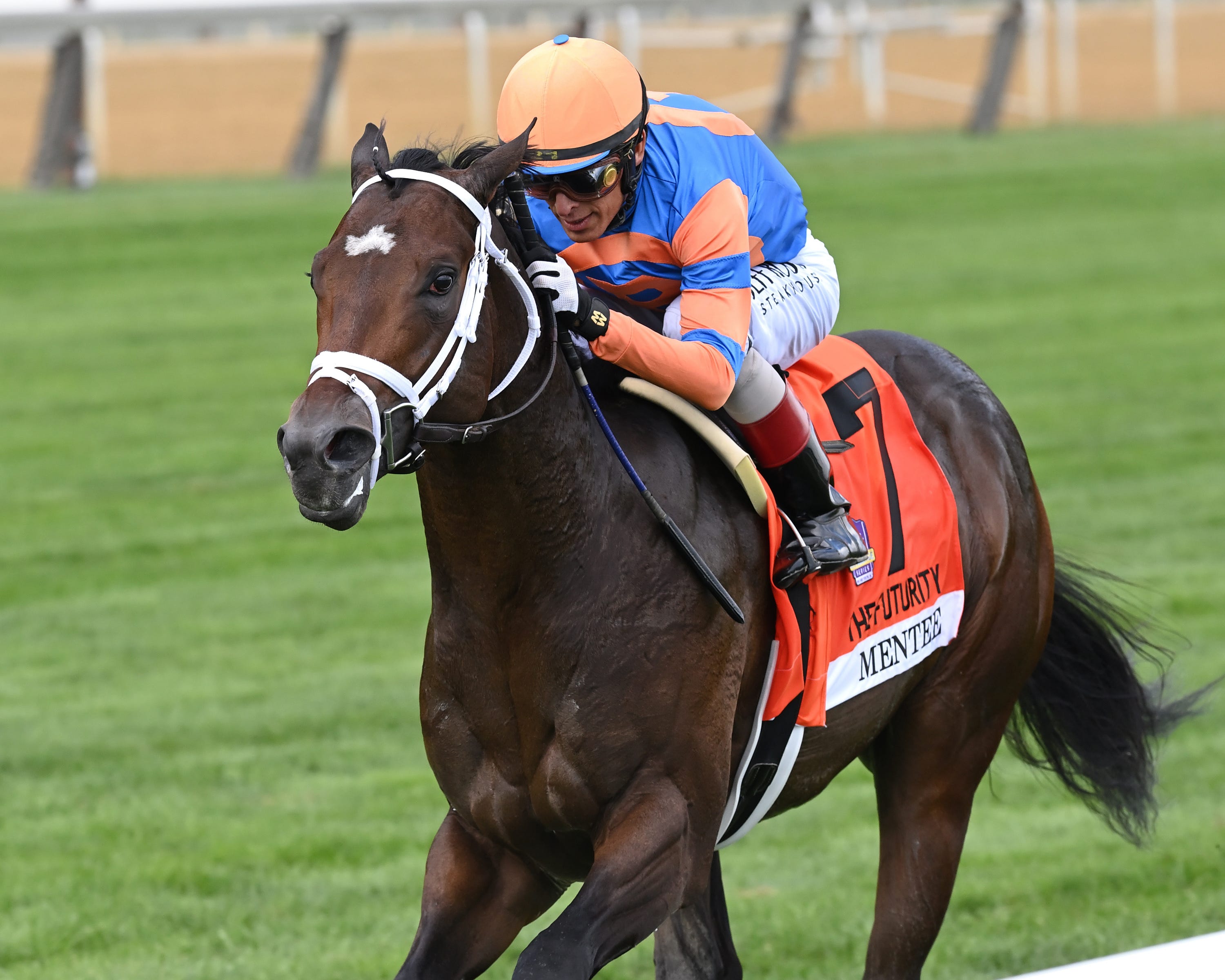 Mentee takes to the turf with Futurity win, Breeders' Cup up next
