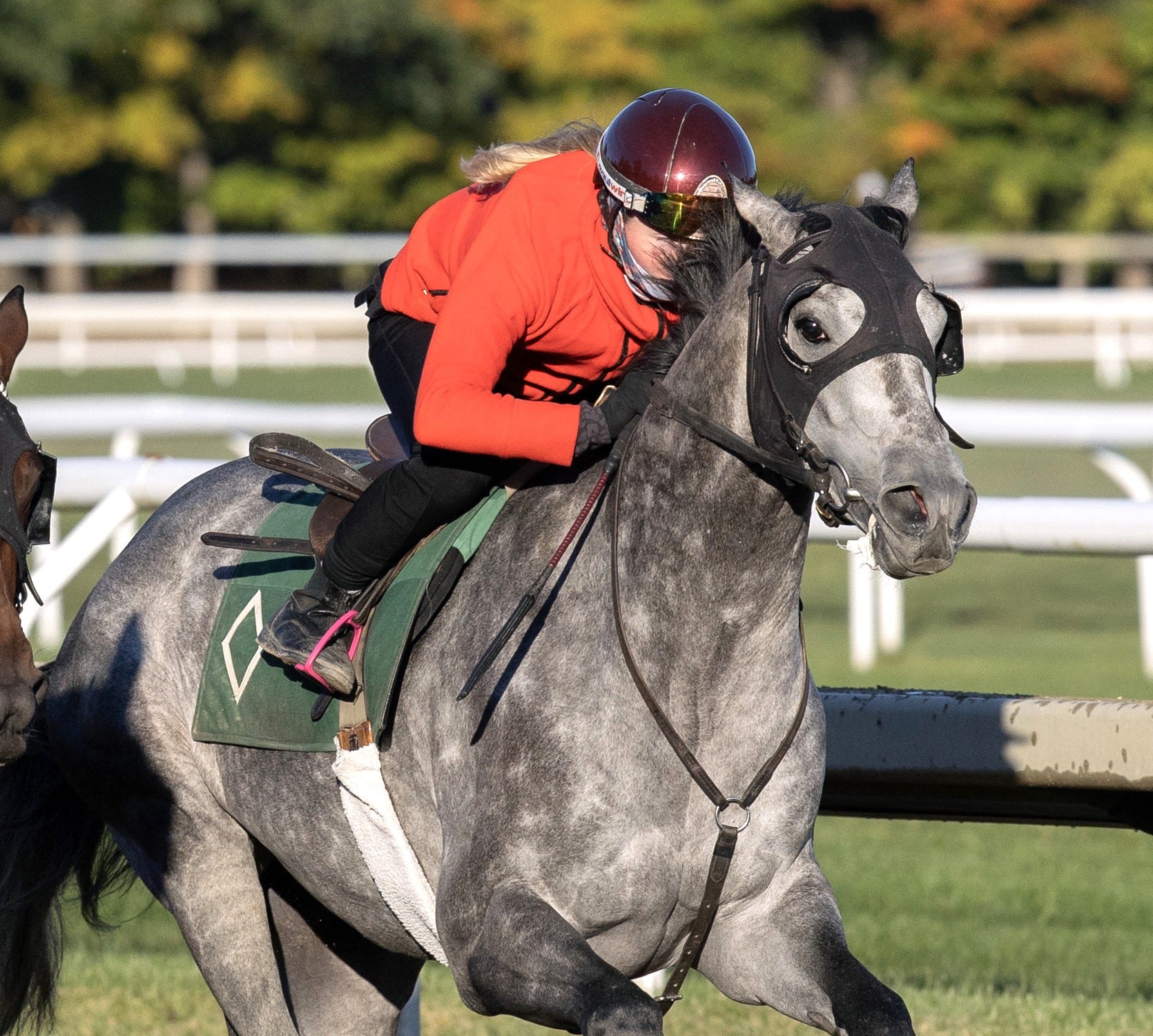 Batten Down has a lot going for him in Discovery, part of three-stakes card