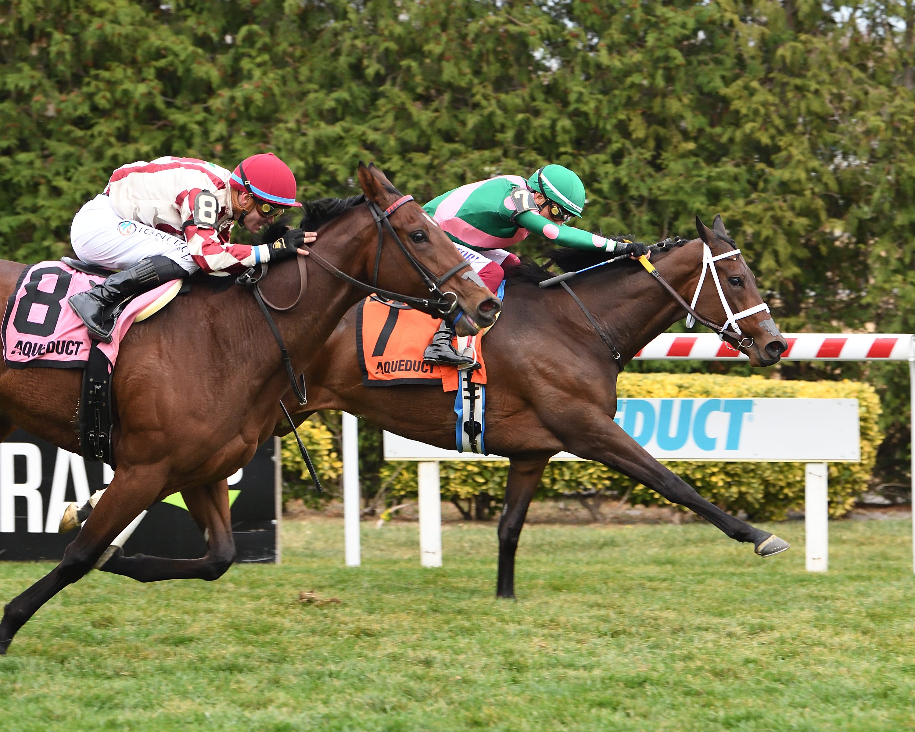 Long Island winner Be Your Best may try Pegasus Filly and Mare Turf