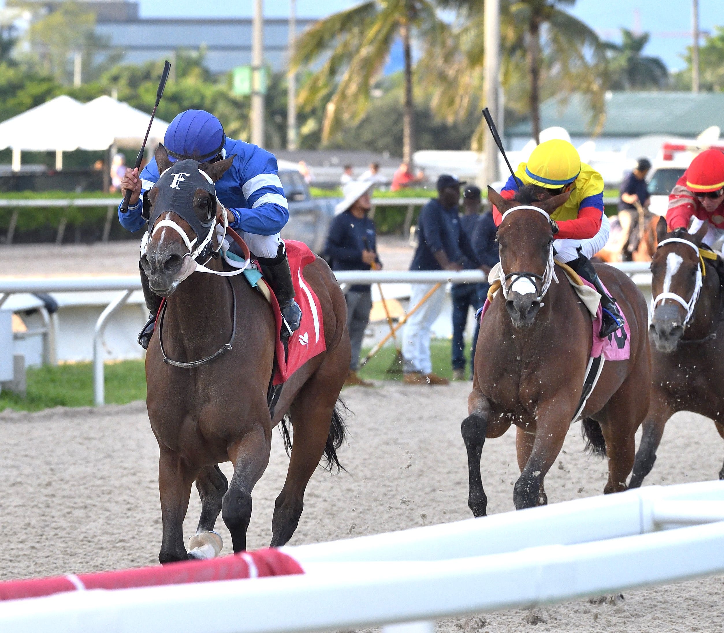 Charlie's Wish tries to end another productive year in style