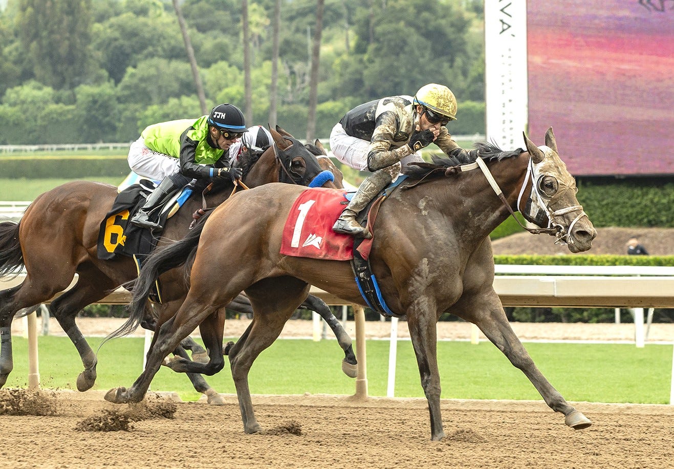 Pushiness has pace advantage over Chismosa in Betty Grable Stakes