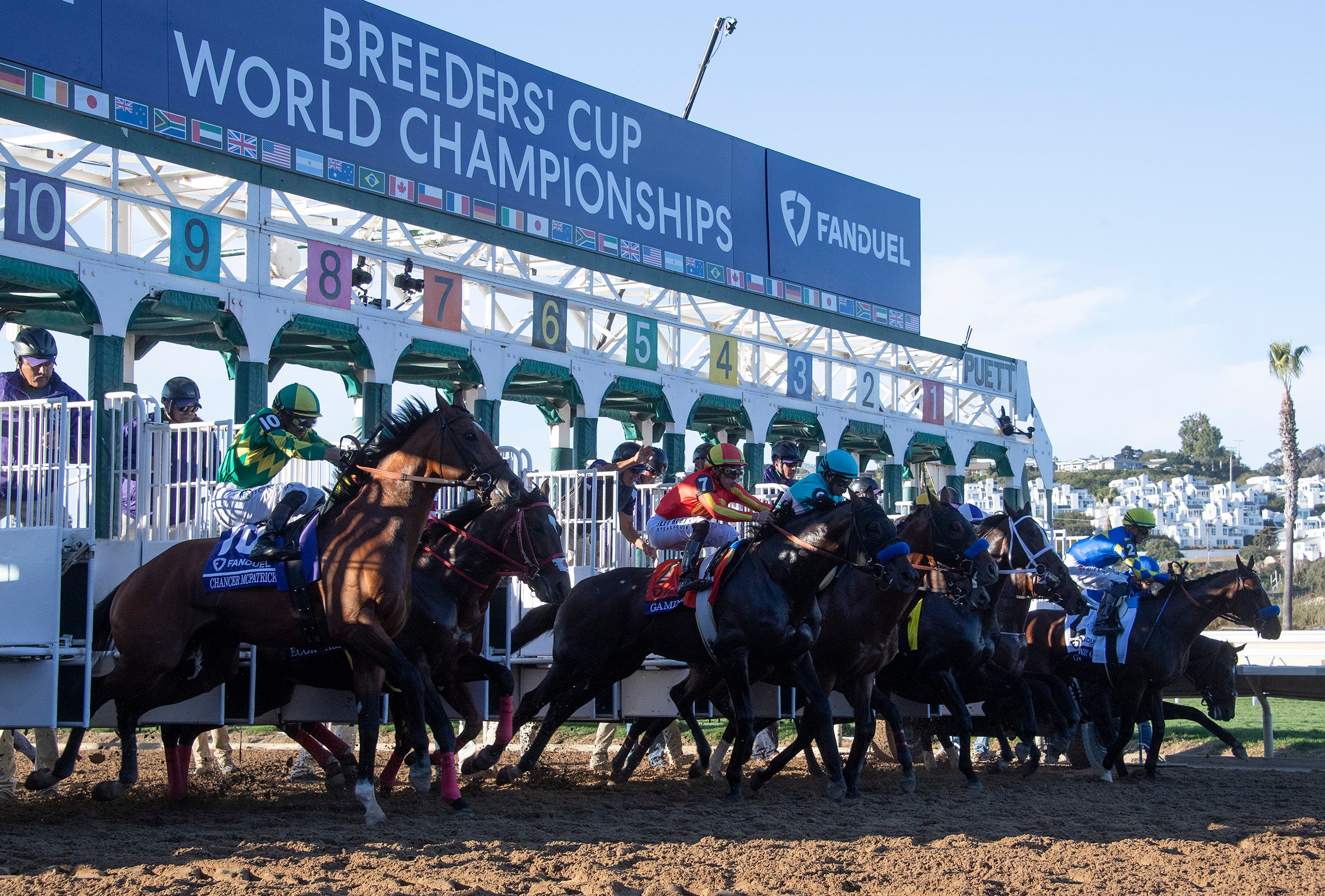 Brad Free's Southern California Horses to Watch for Oct. 25-Nov. 3, 2024