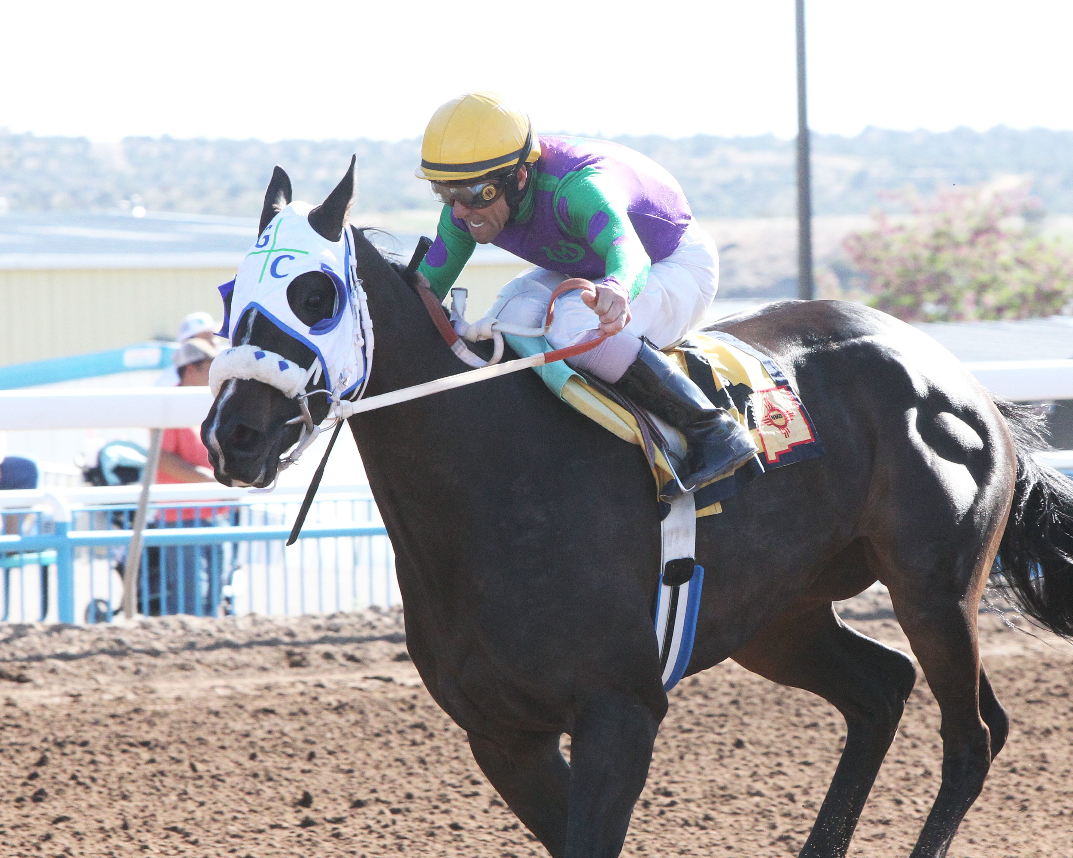 Corrina Corrina, Thunder Dome chase milestones on New Mexico Cup card