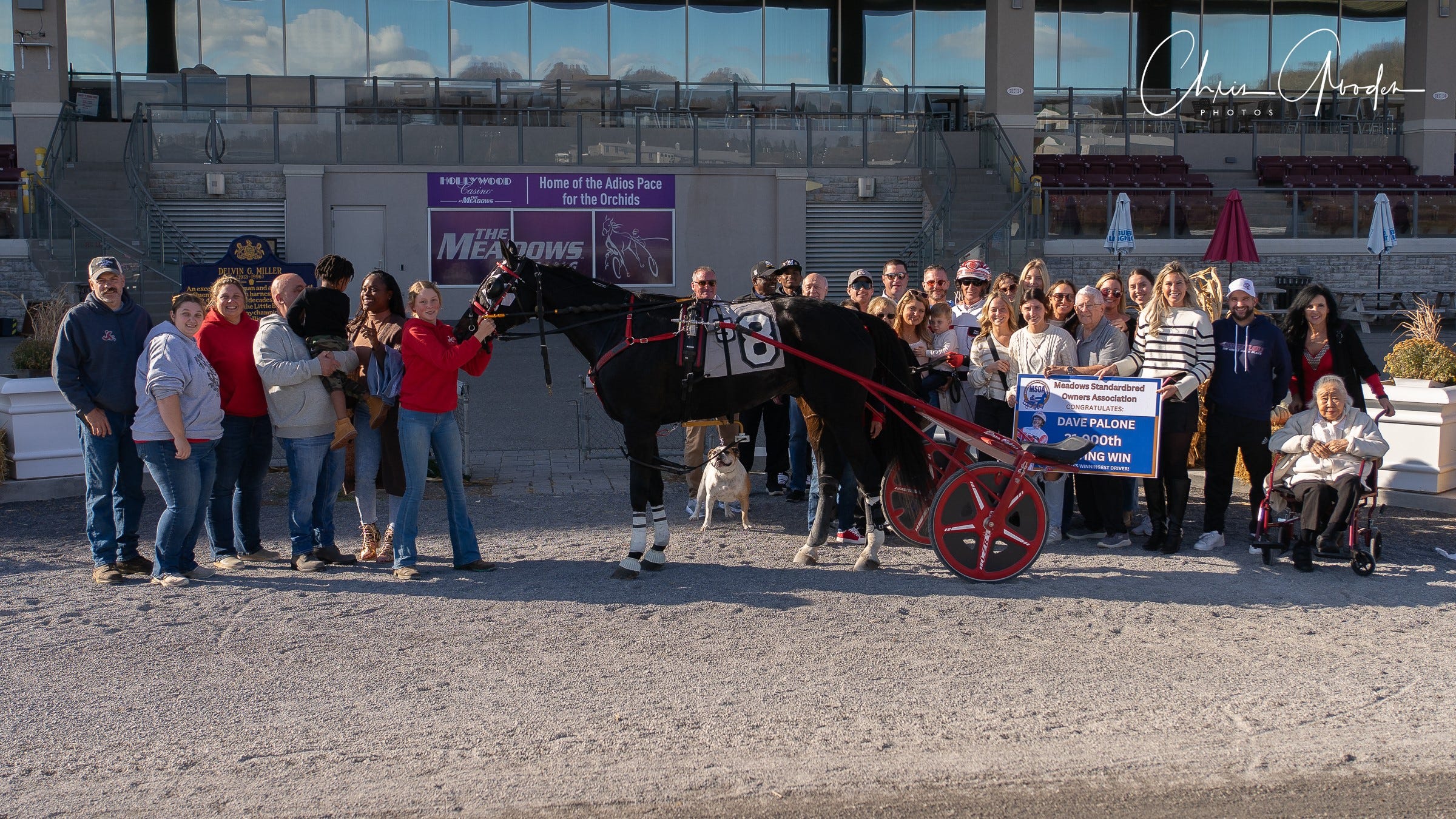 The Meadows: Dave Palone reaches 21,000 wins