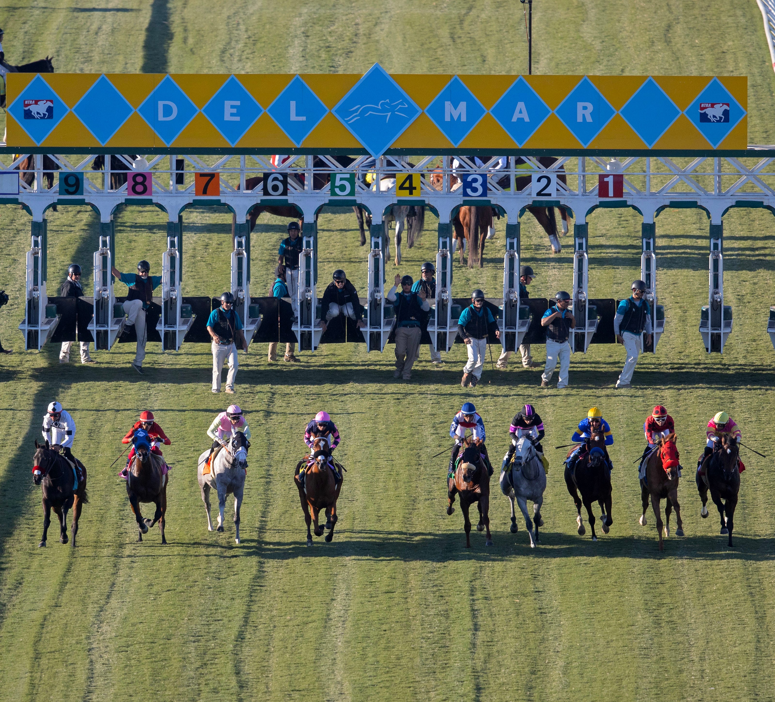 Trio of statebred sprints top eight-race card