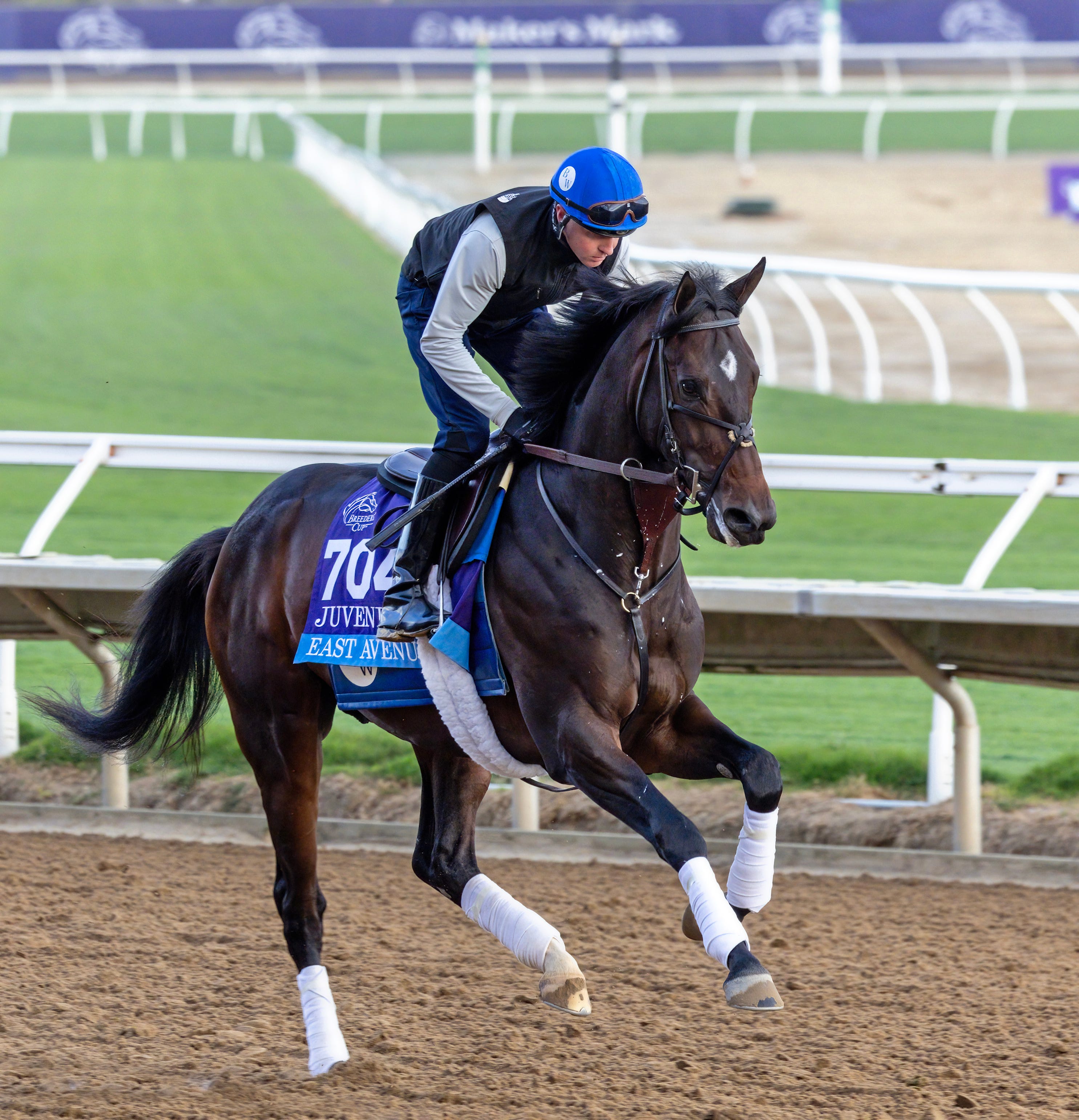Injury free, East Avenue to winter at Fair Grounds