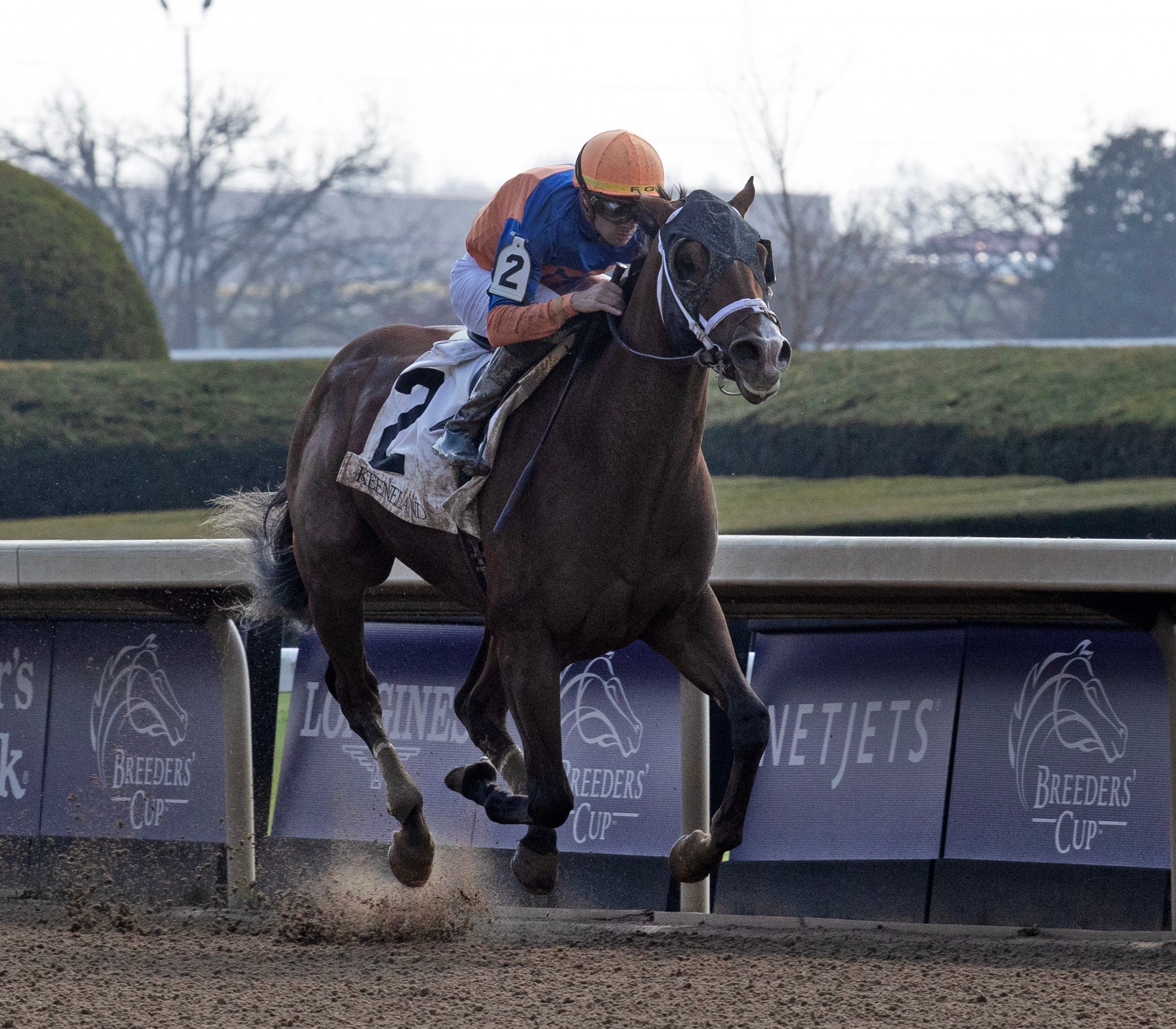 Fall Highweight offers better conditions for Giant Mischief