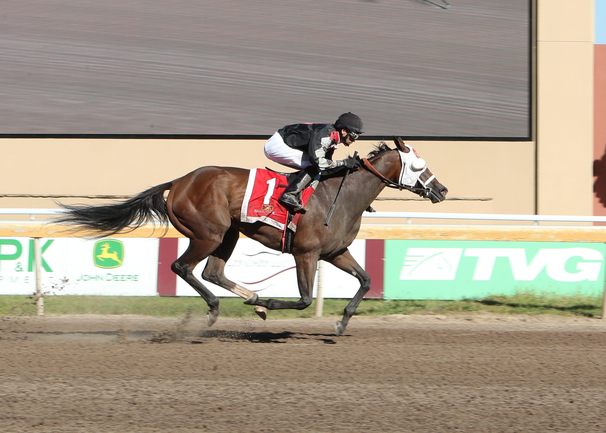 Holly Dolly to Zia Park Distaff before joining Ashford's Oaklawn string