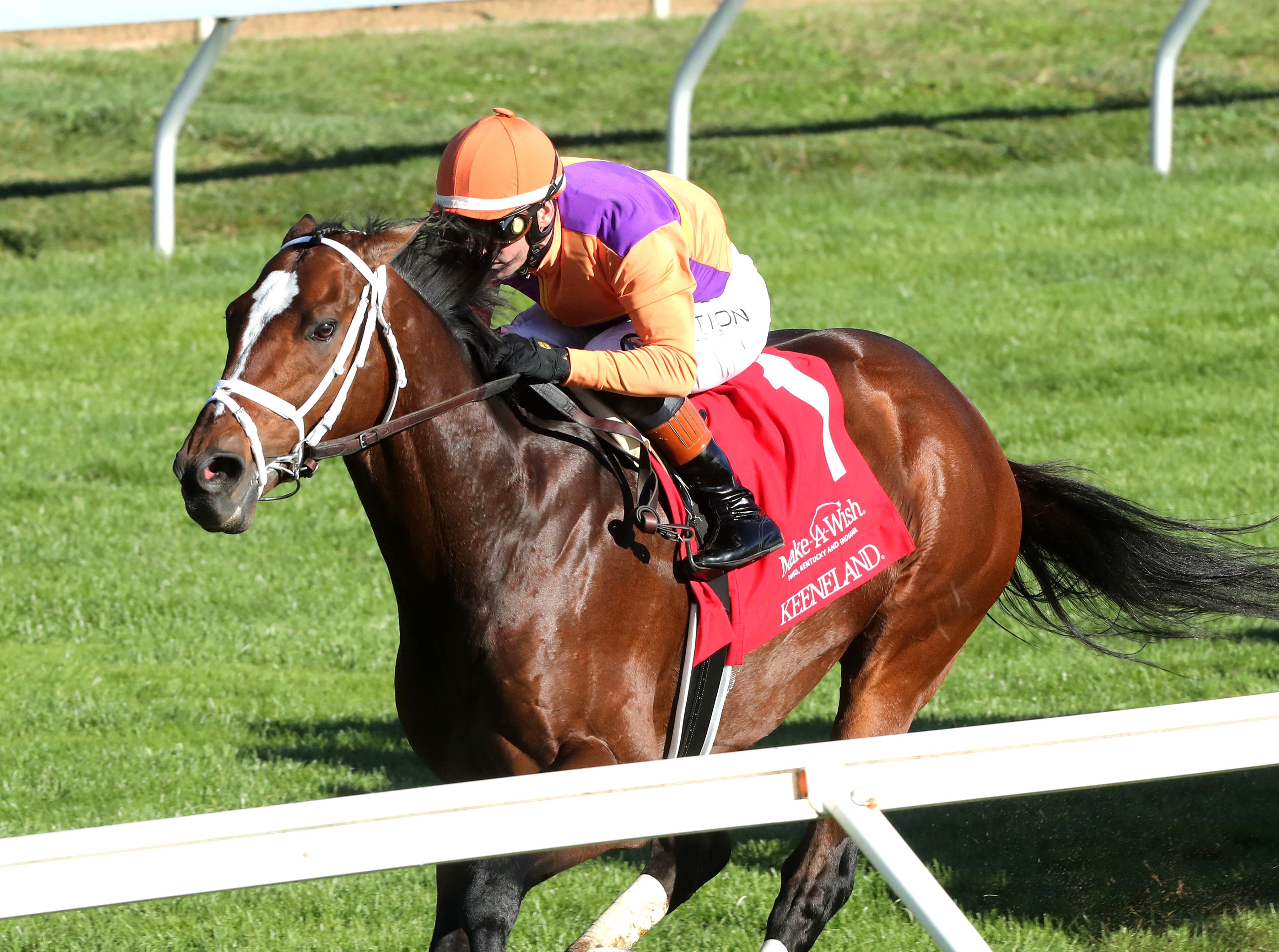 Pletcher ready for Championship meet; Cardinale begins comeback