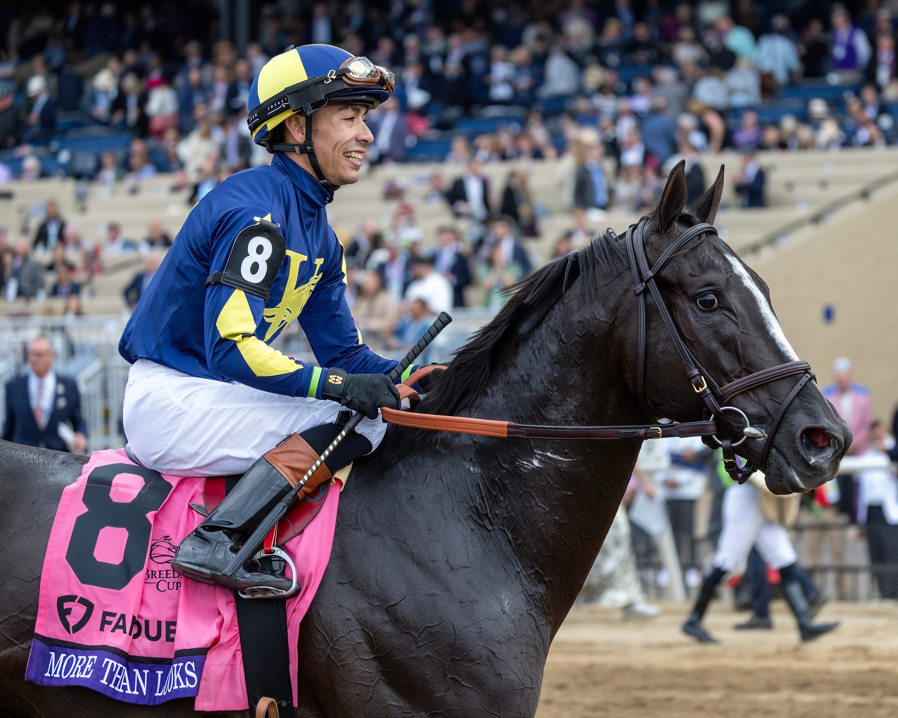 Breeders' Cup Mile winner More Than Looks retired to Lane's End