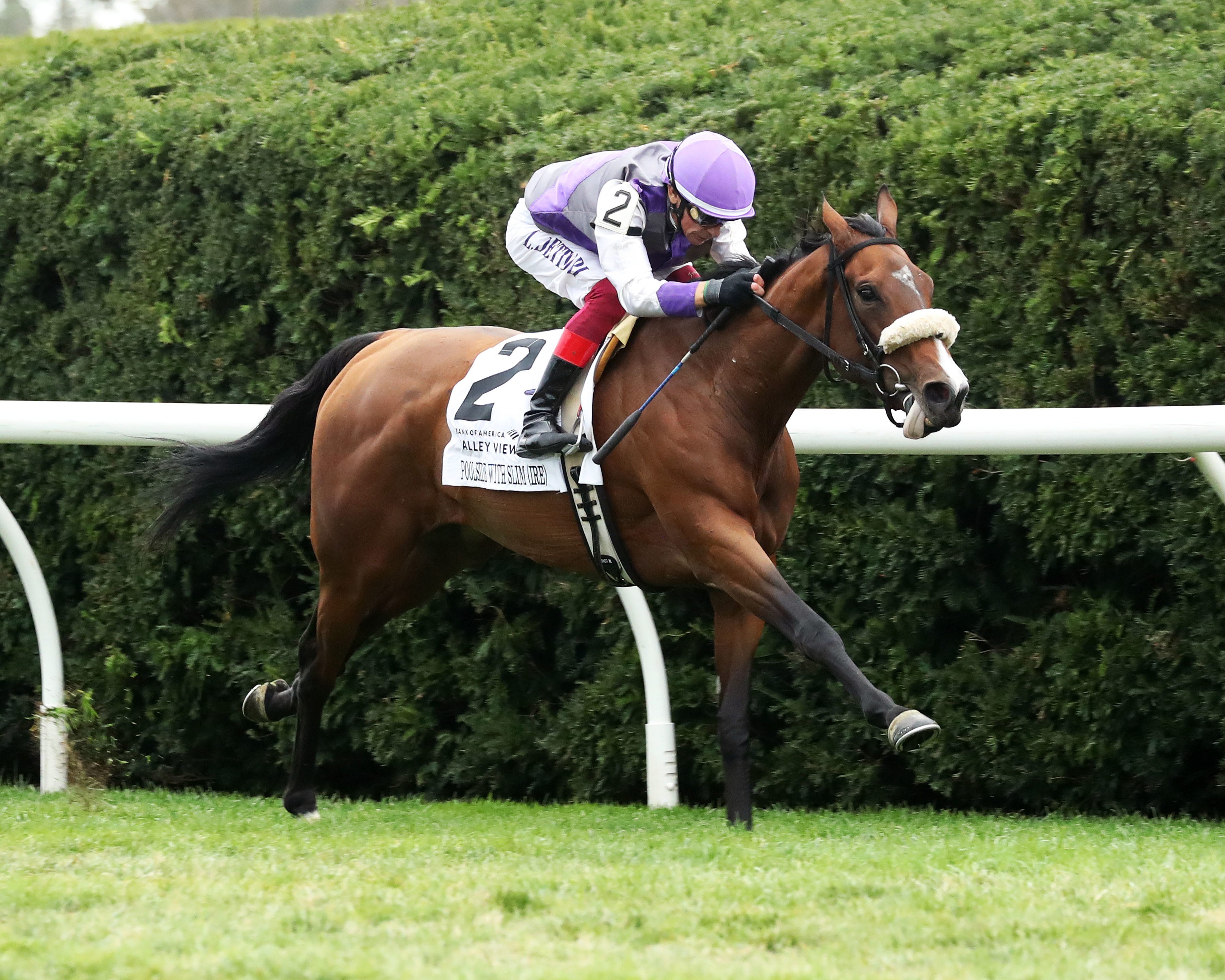 Classy trio top overflow field for Mrs. Revere