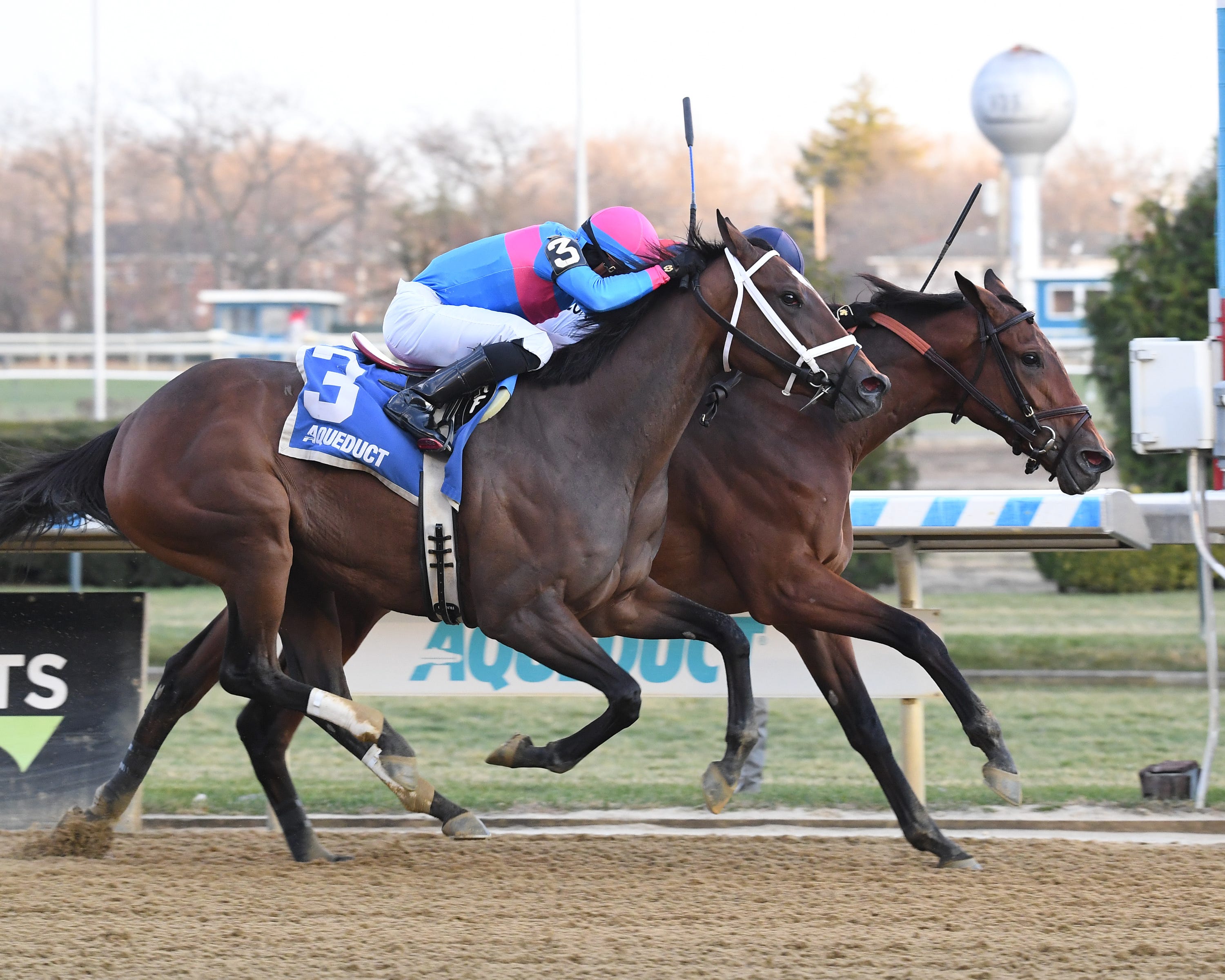 Pretty Ana holds off Alpine Princess in Comely Stakes