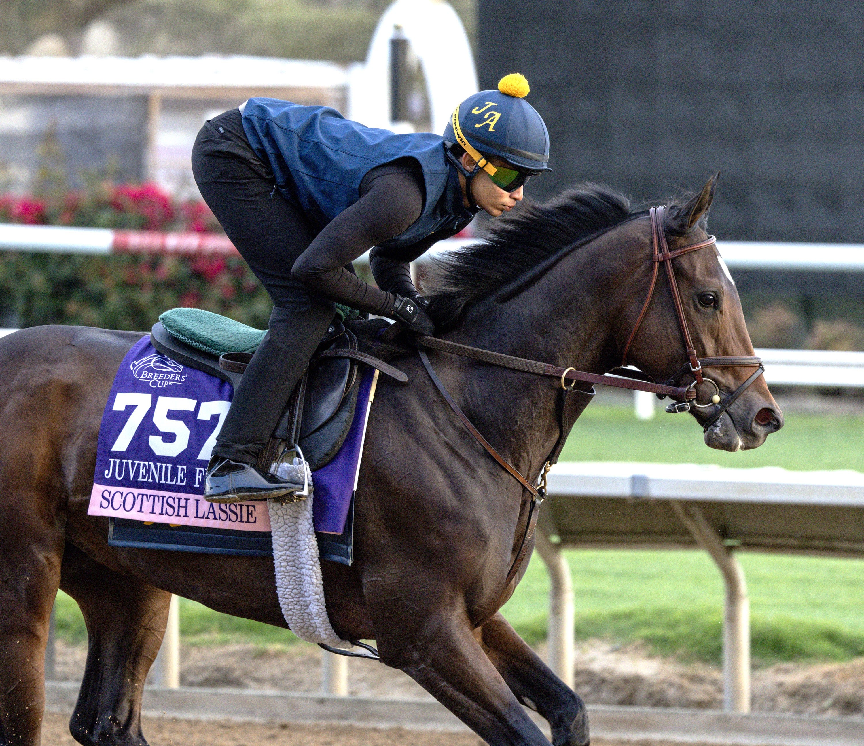Frizette winner Scottish Lassie to target Gulfstream's 3-year-old filly ...