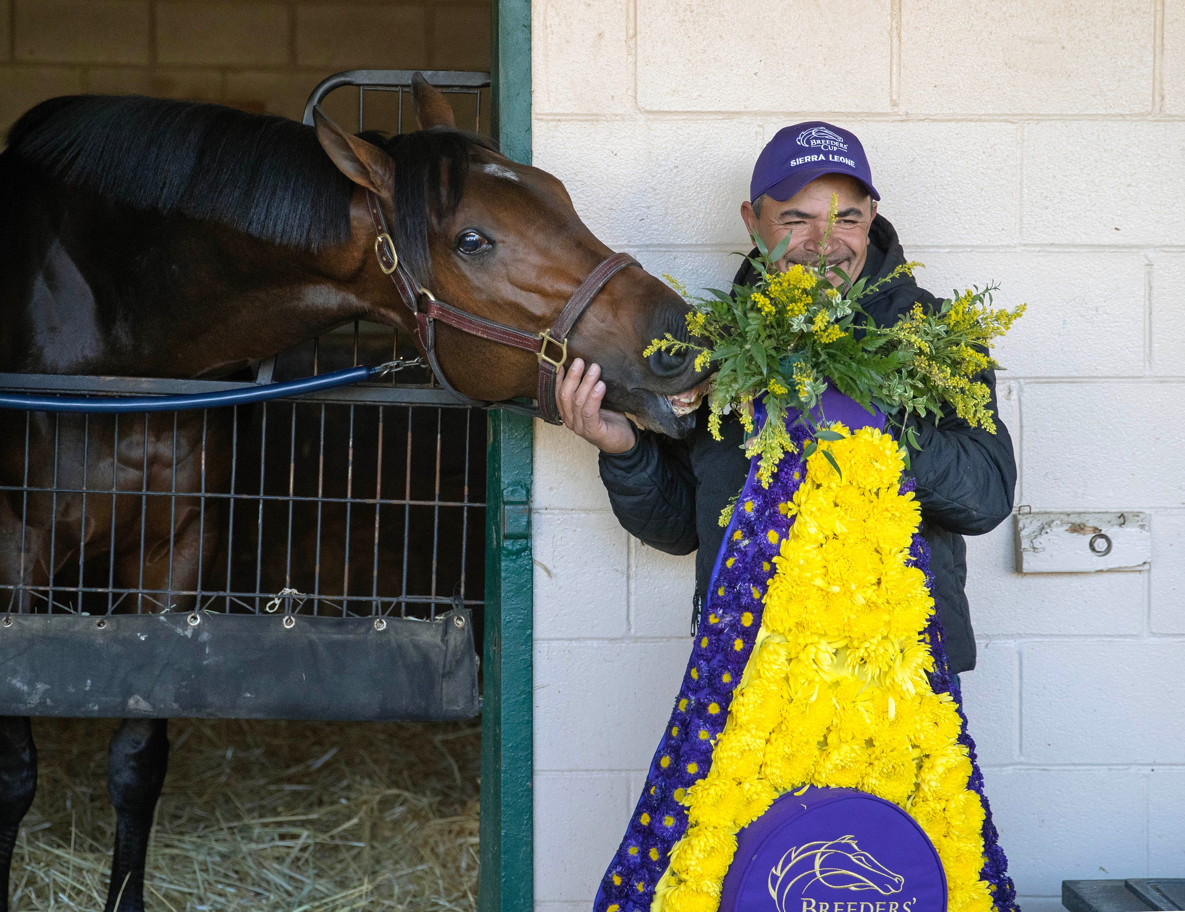 Breeders' Cup: Bunch of winners could return in 2025