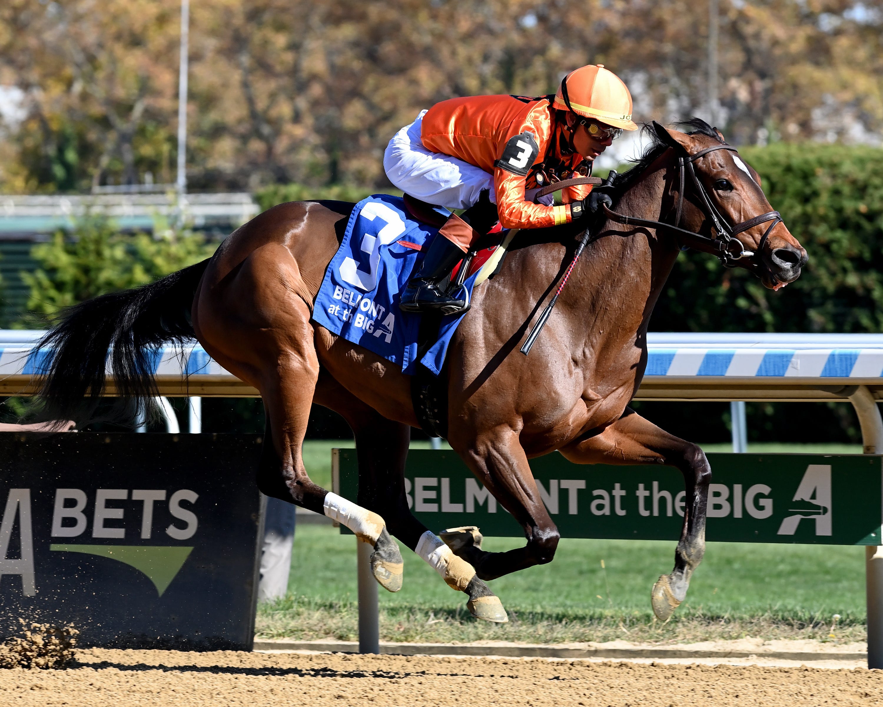 With the Angels may try different tactics in Key Cents