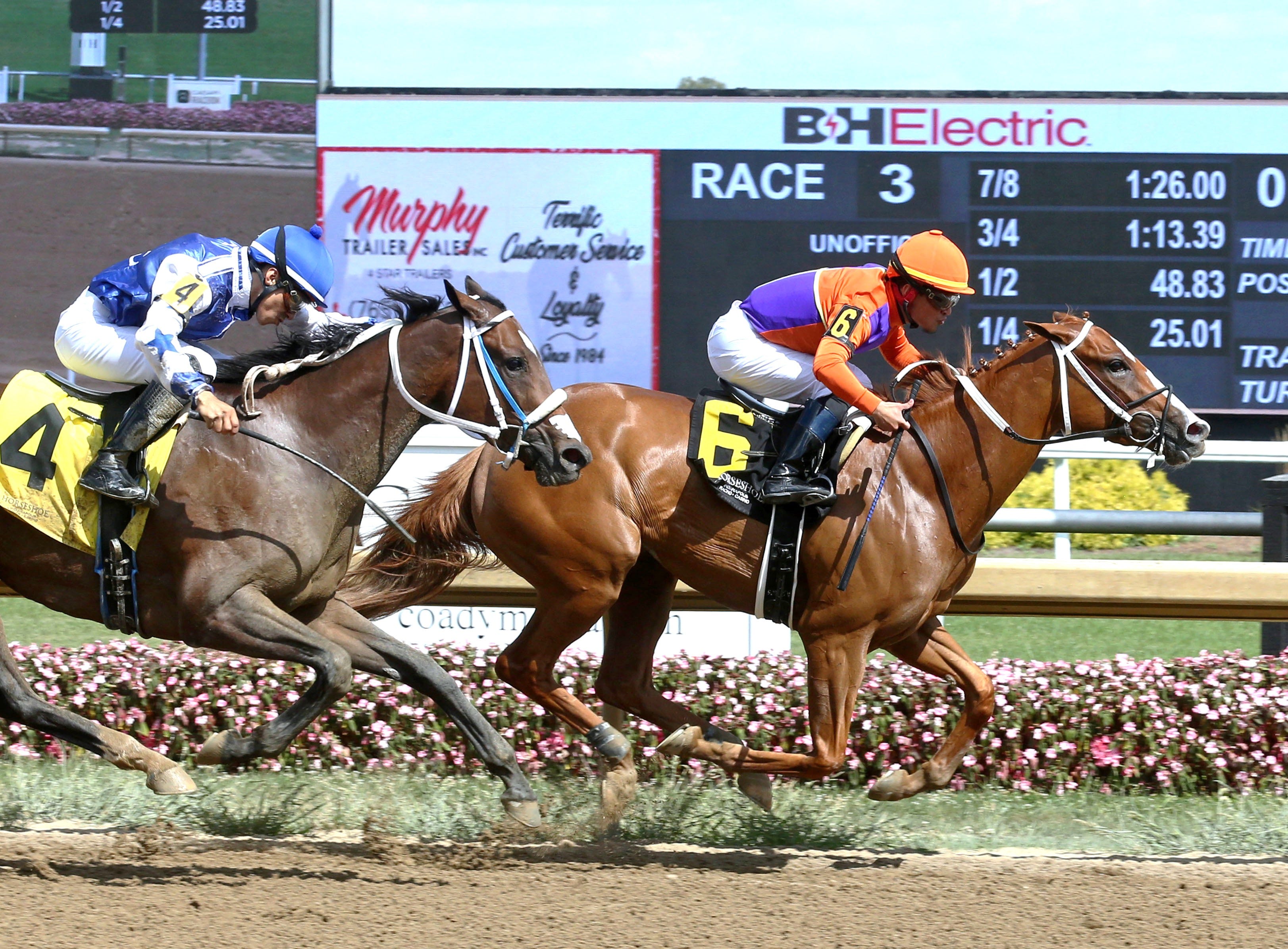 Avana going for seventh straight win in Zia Park Oaks