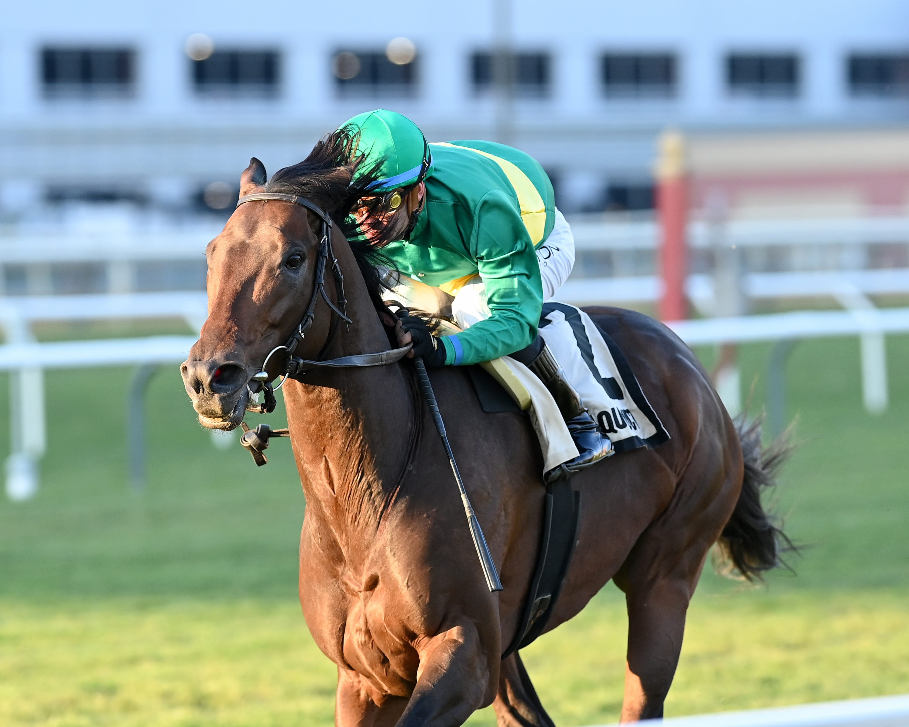Old Forester Turf Classic: Integration overdue to break through with a ...