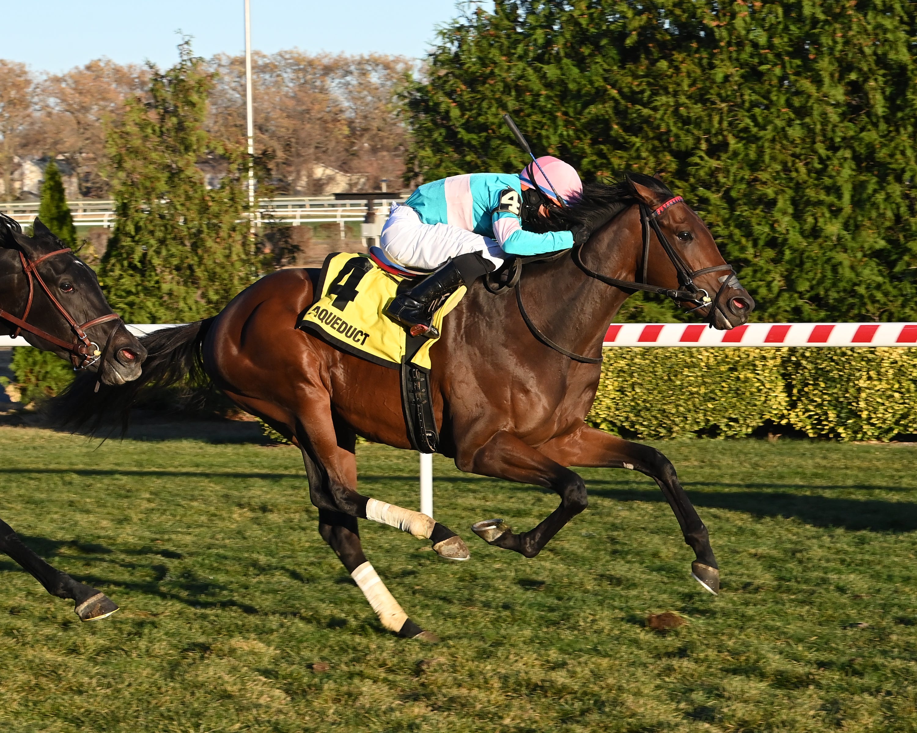 Jack and Jim scores professional win with new equipment in Central Park