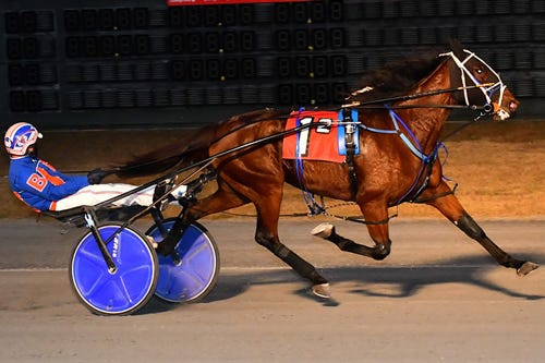 Dover: Lady Burg, Song Master tally in DSBF events