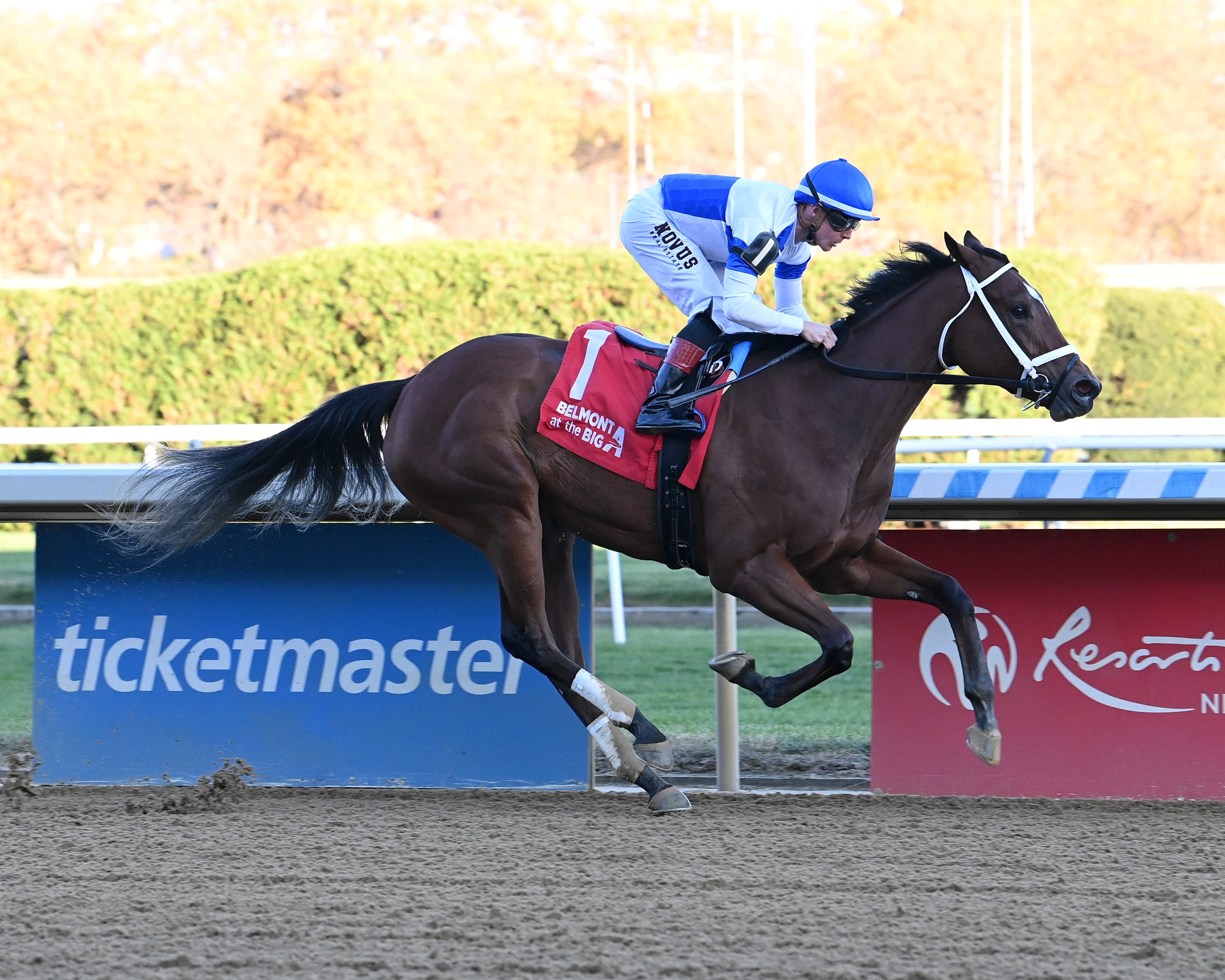 Cox adds to big juvenile week with Stunner in Tempted