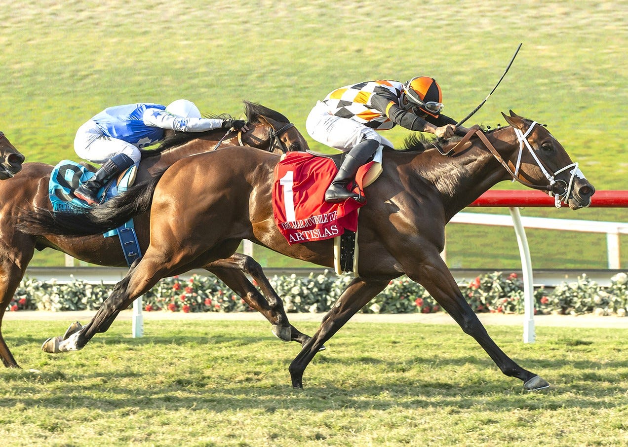Artislas has a lot going for him in Eddie Logan Stakes