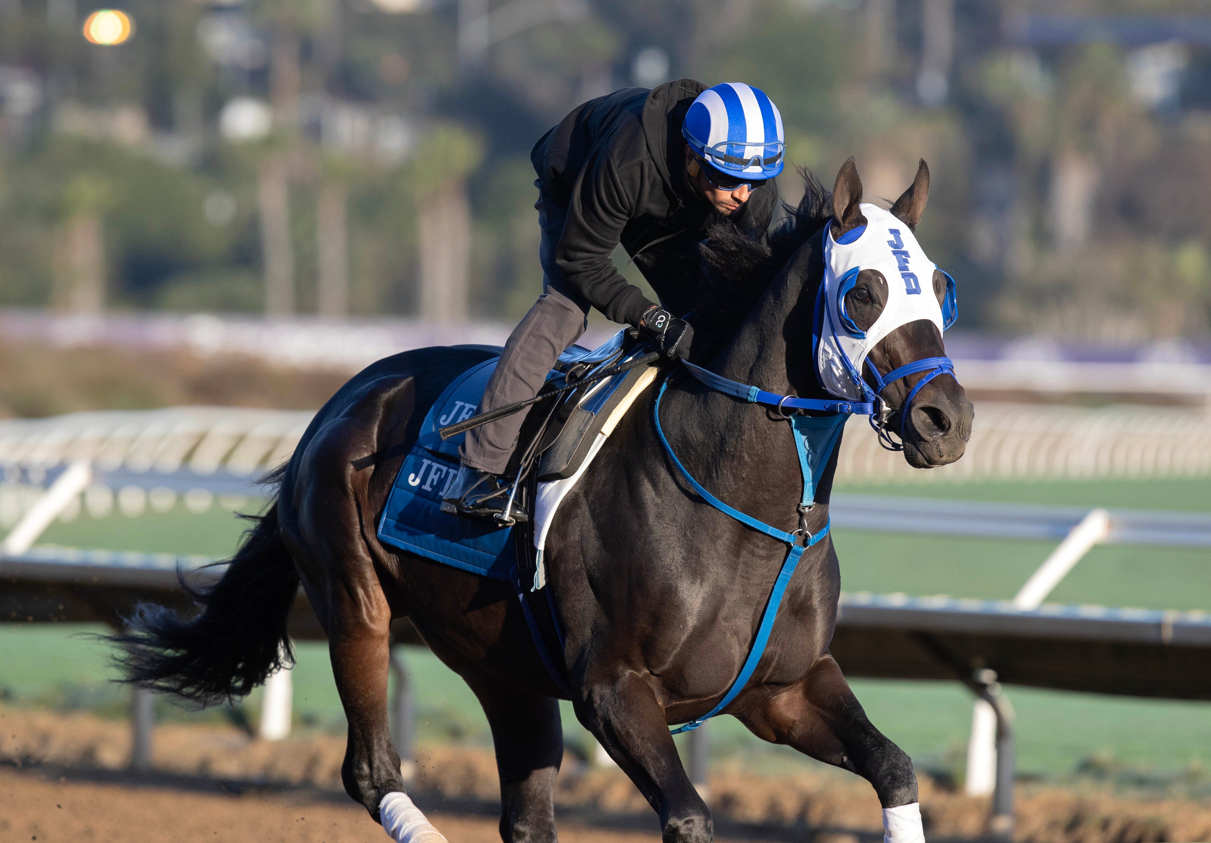 Bentornato scratched from Malibu with hot foot