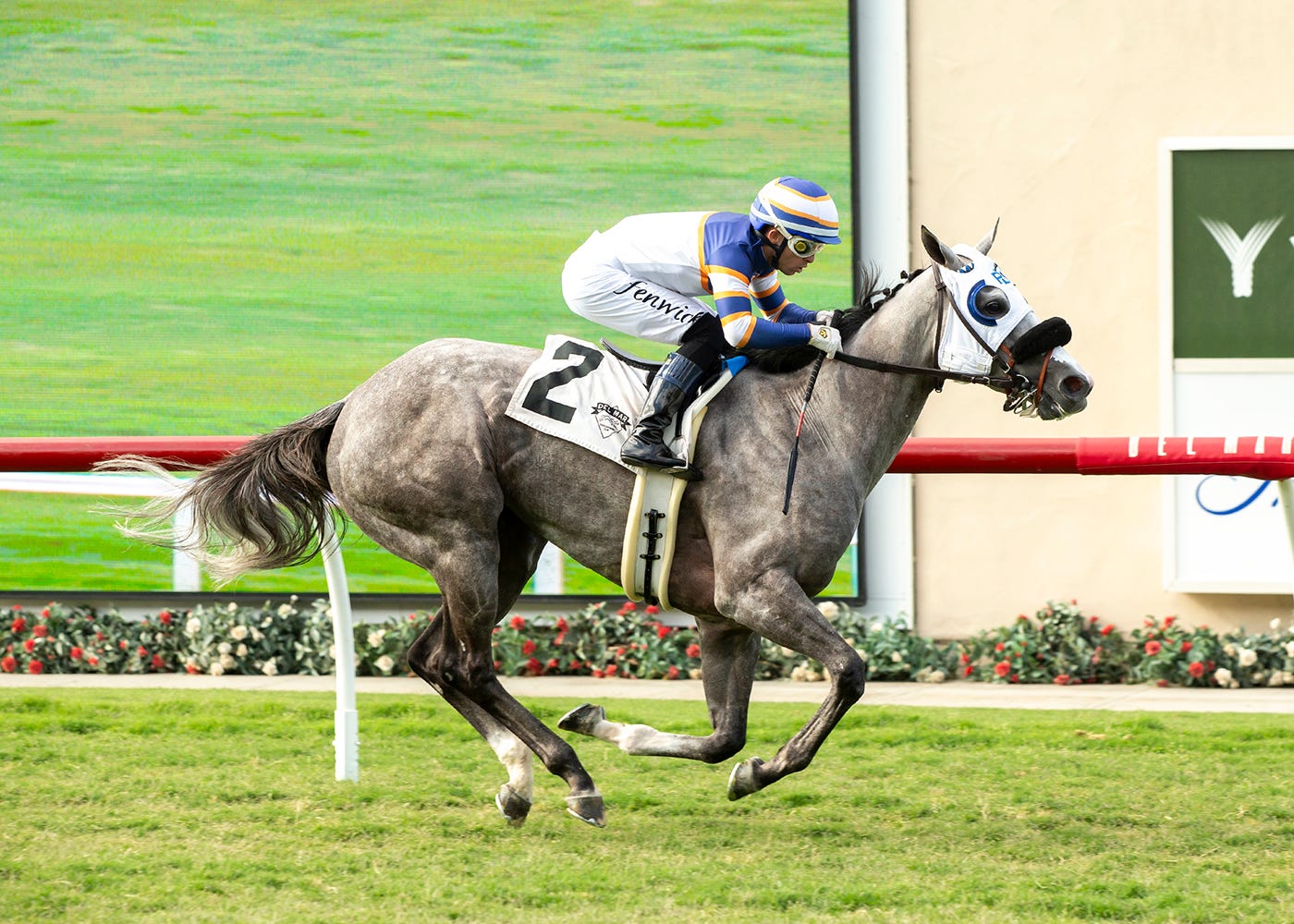 Grazen, Stay Thirsty in close race to lead stallion rankings