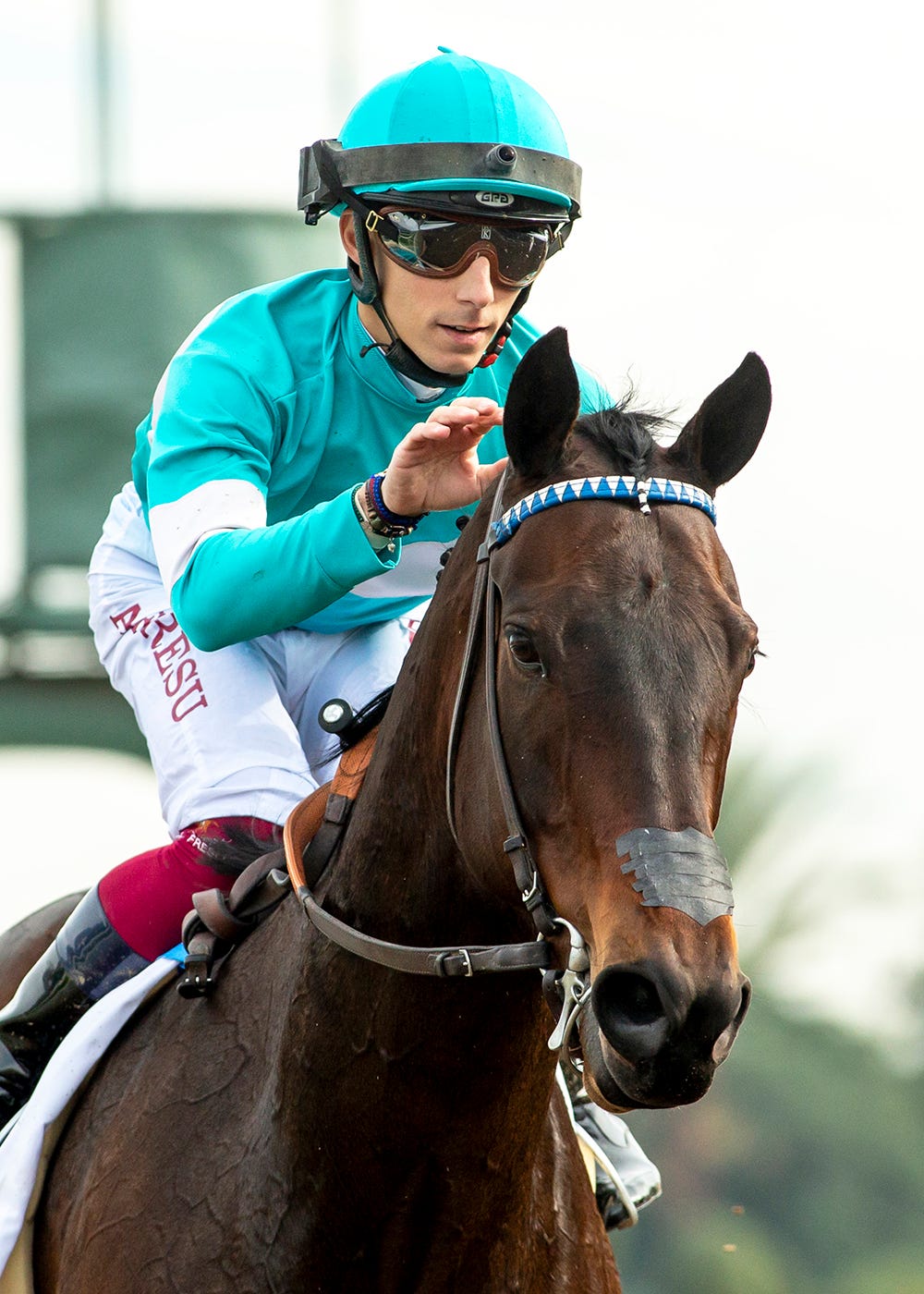 Easter will go longer in search of turnaround next year