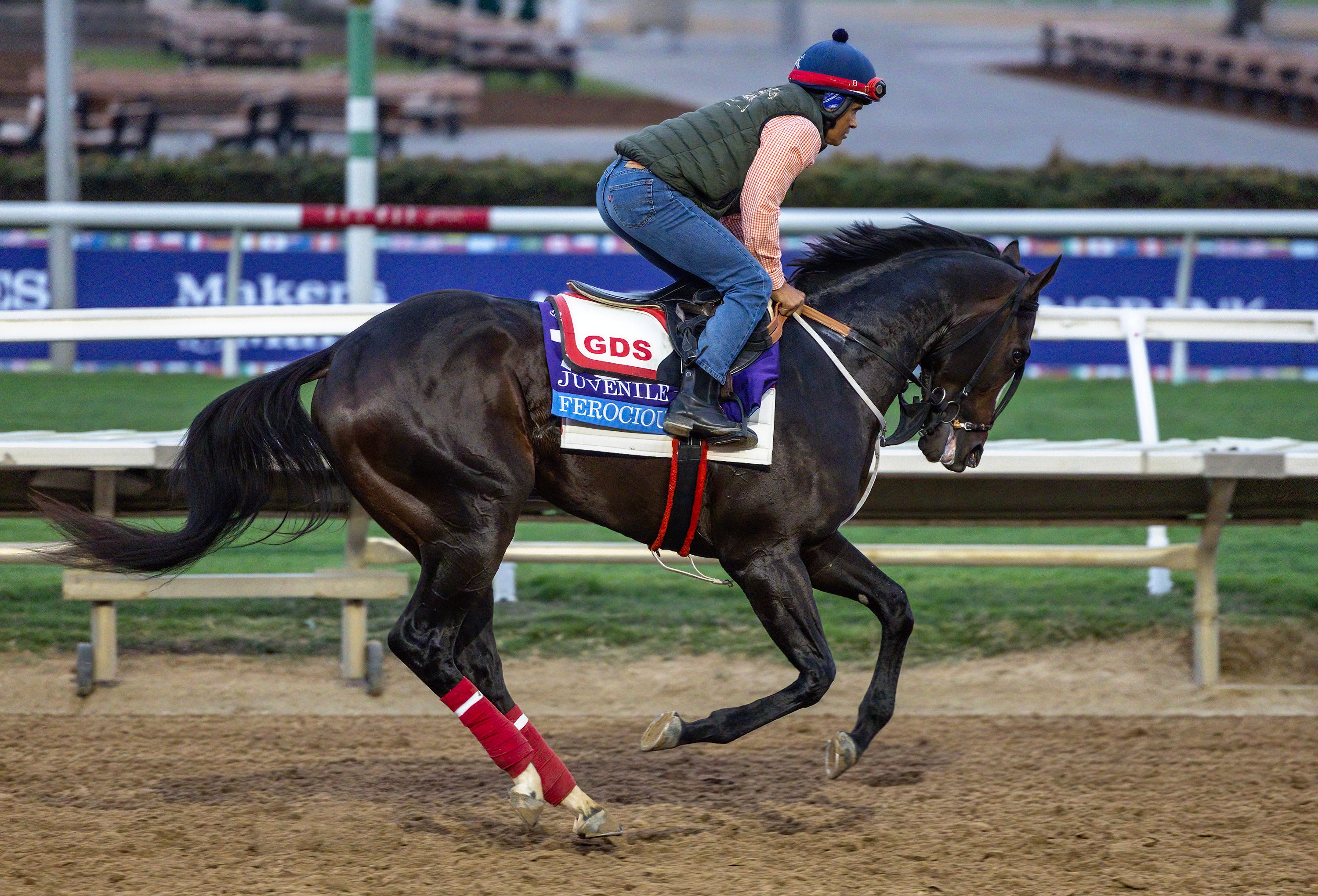 After freshening, Ferocious returns with eye on Holy Bull