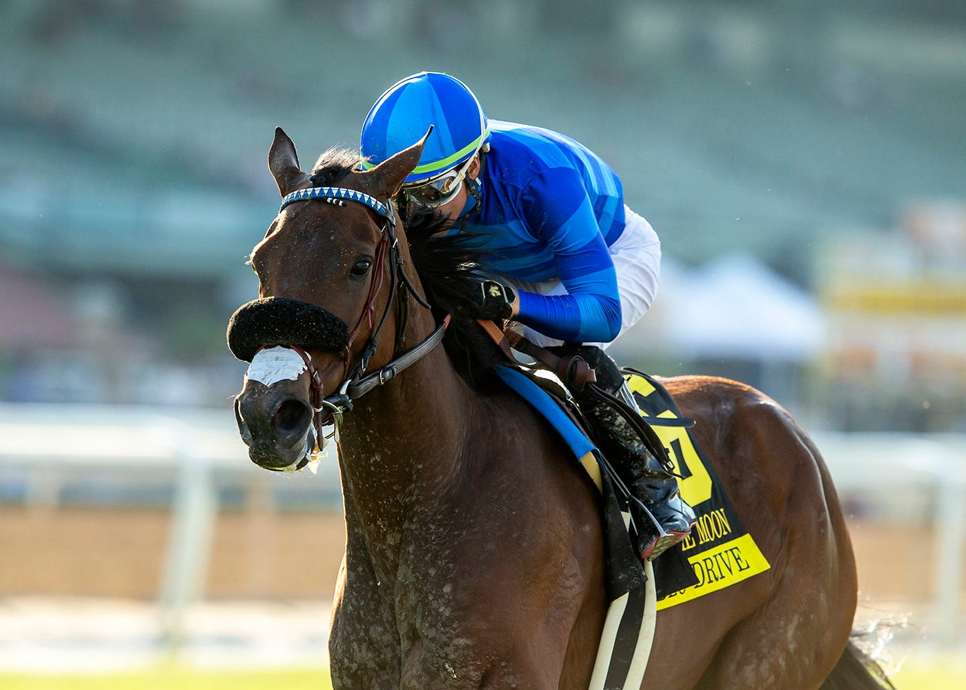 Hang the Moon, Mouffy find easier spot in Frankel Stakes