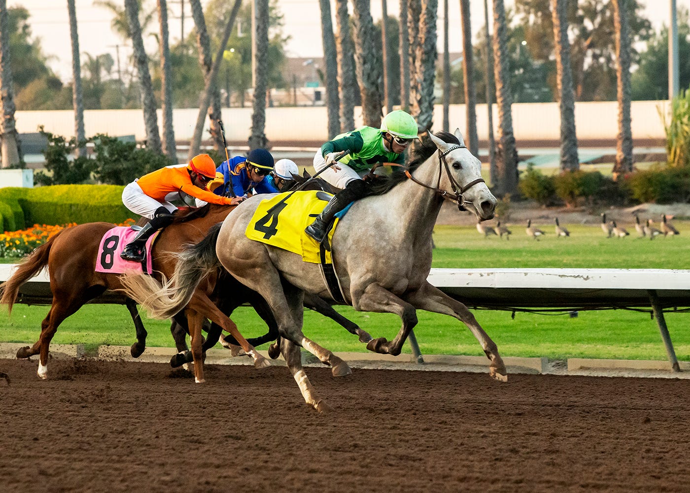 Hey Jessie ($34.20) has no problem with Soviet Problem