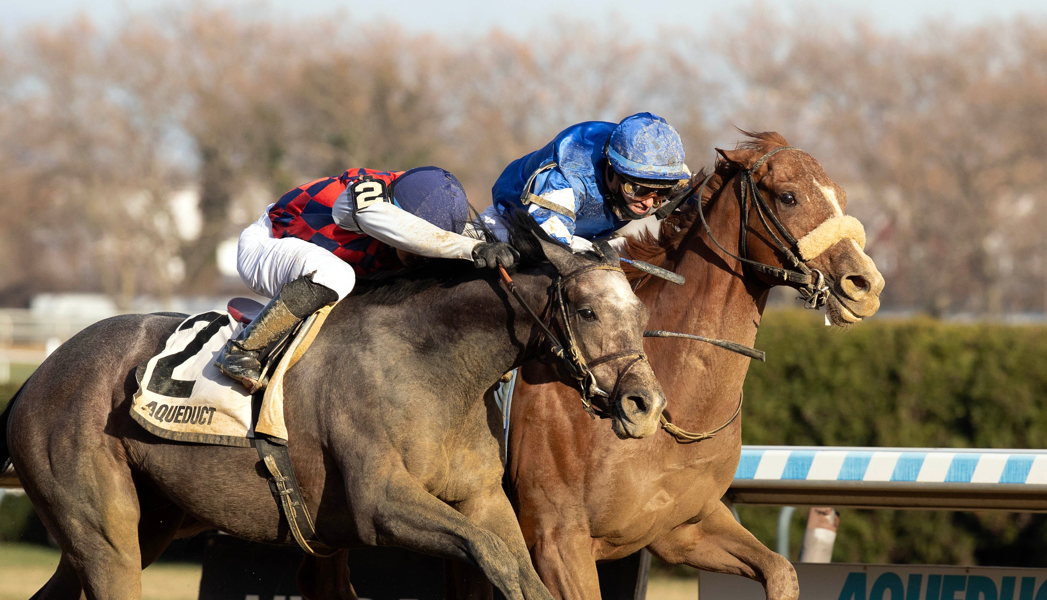 Poster noses Aviator Gui in Remsen, capping big week for trainer Harty