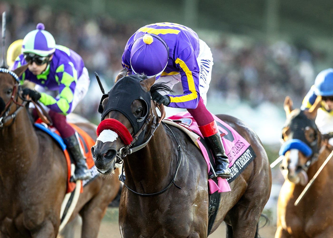 Raging Torrent runs lights-out in Malibu; Mystik Dan trails in dull effort