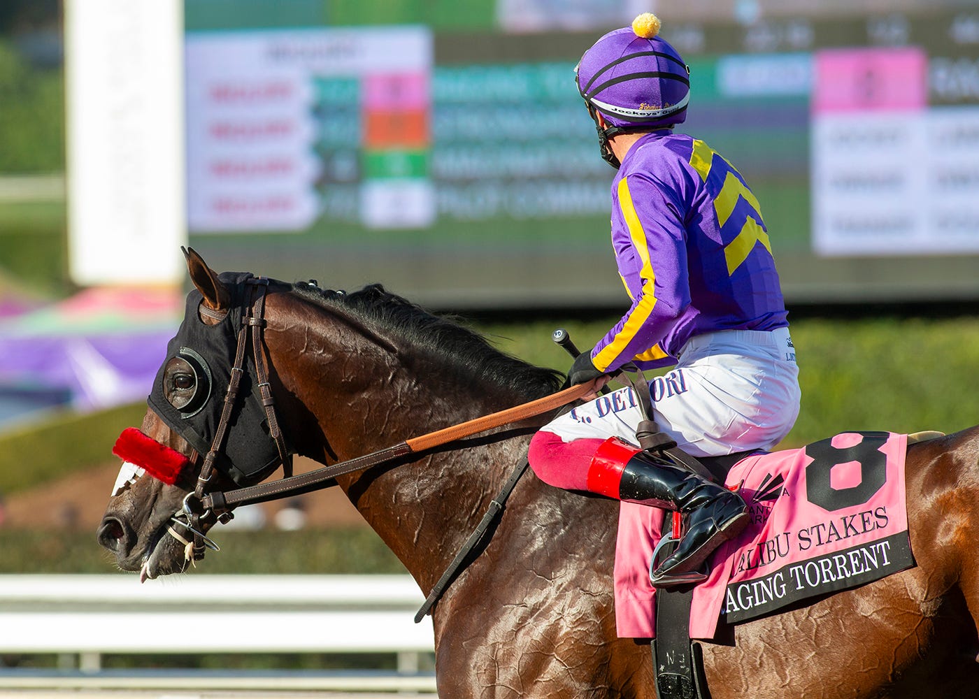 After Malibu win, Raging Torrent likely headed to Godolphin Mile