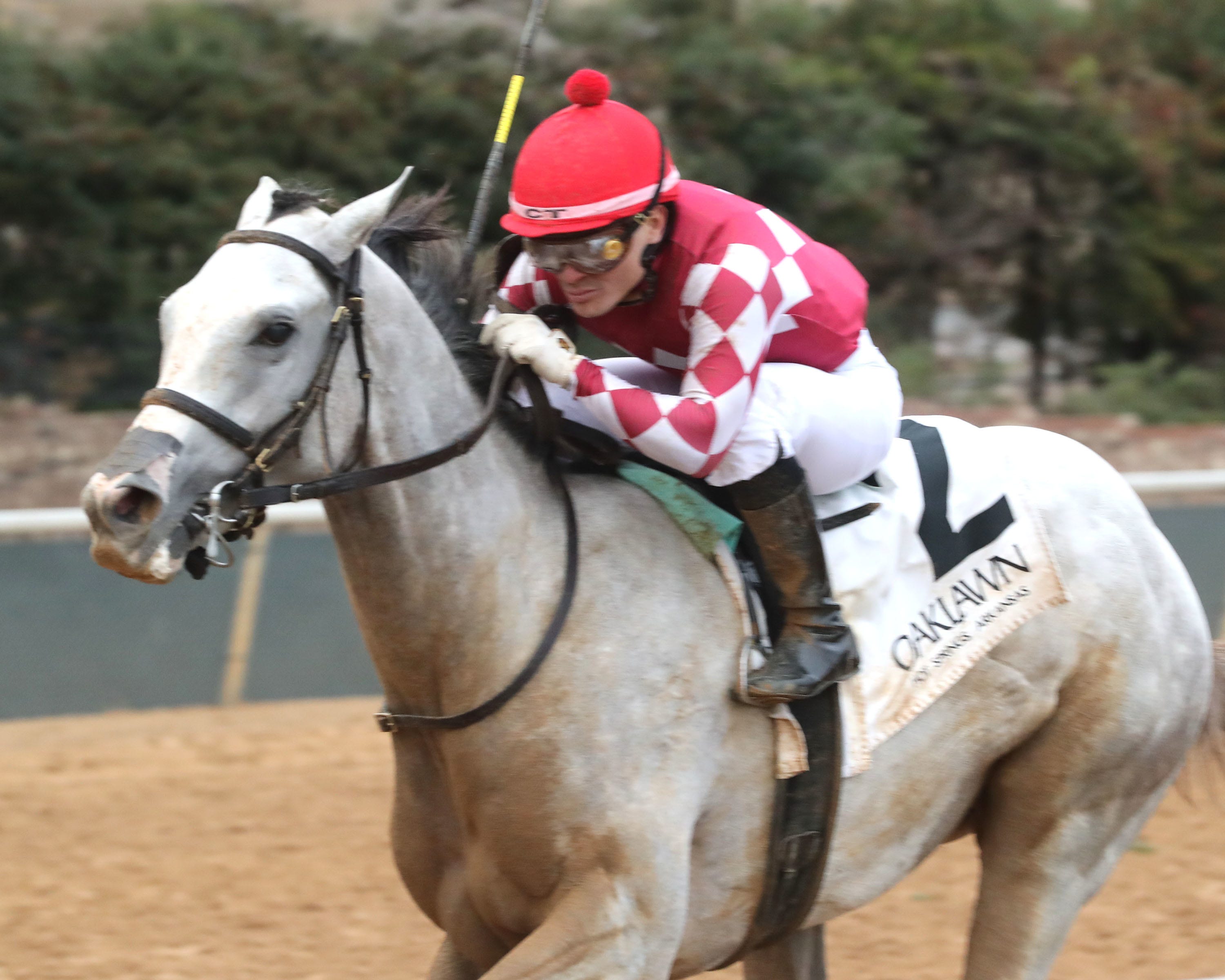 Off impressive win, Sandman likely for Southwest Stakes