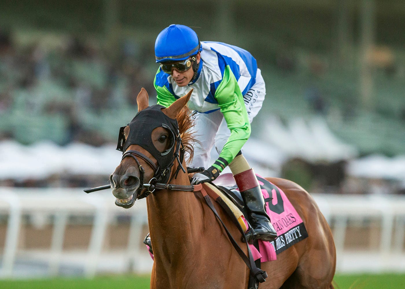 She Feels Pretty, King of Gosford to get breaks before 2025 campaigns