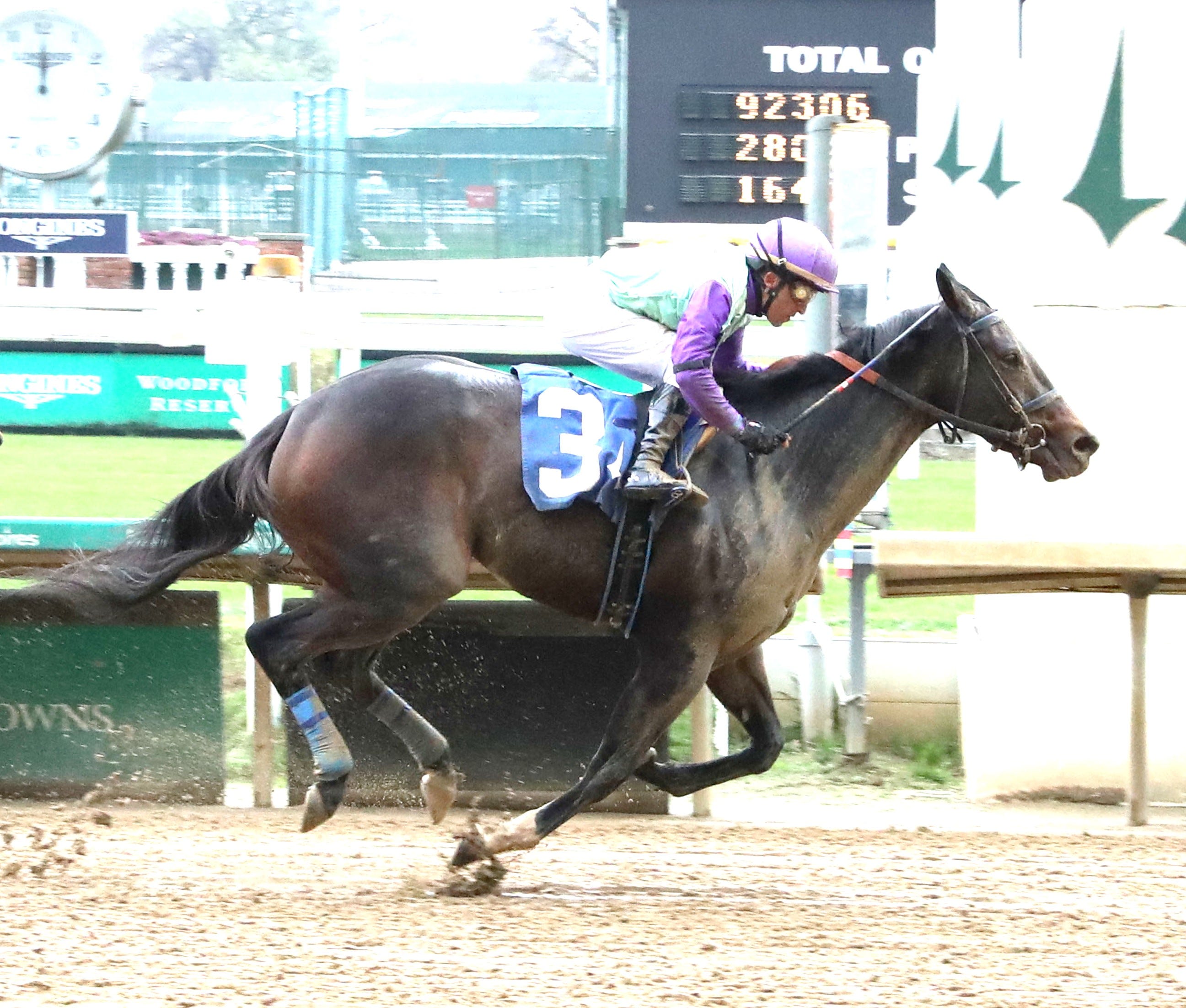 Deep sprint field should produce stakes runners later in the meet